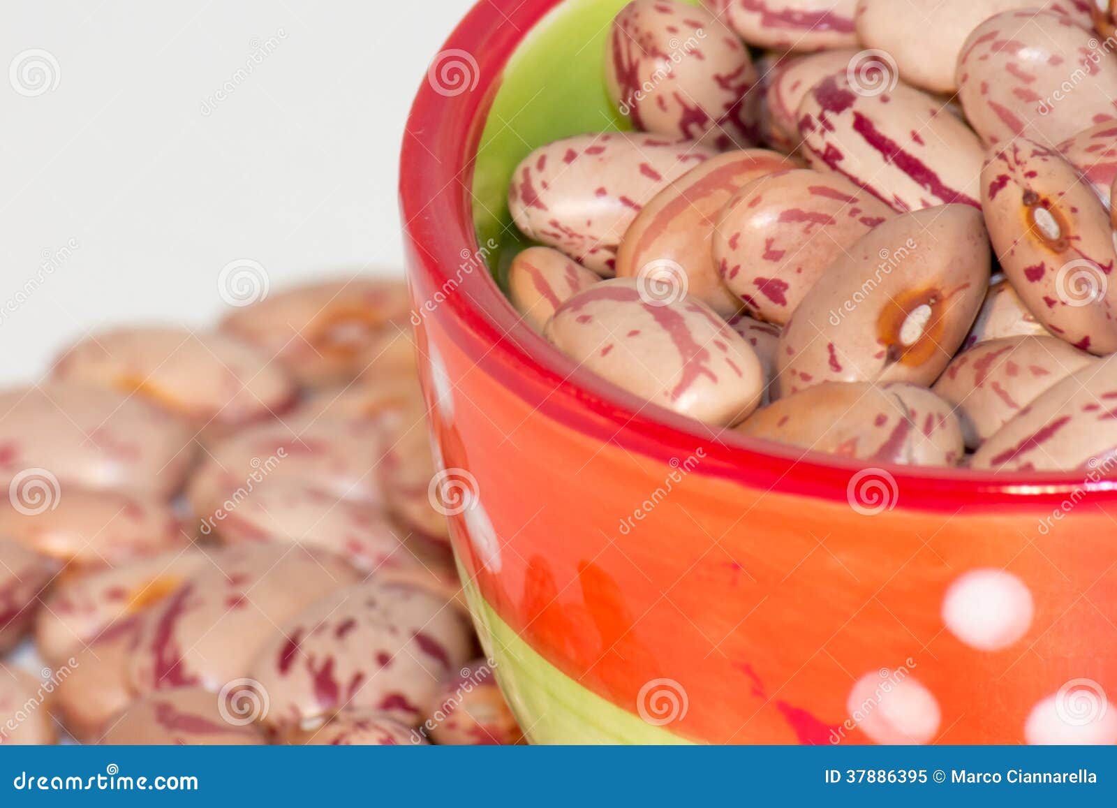 Roman beans stock image. Image of restaurant, protein - 37886395