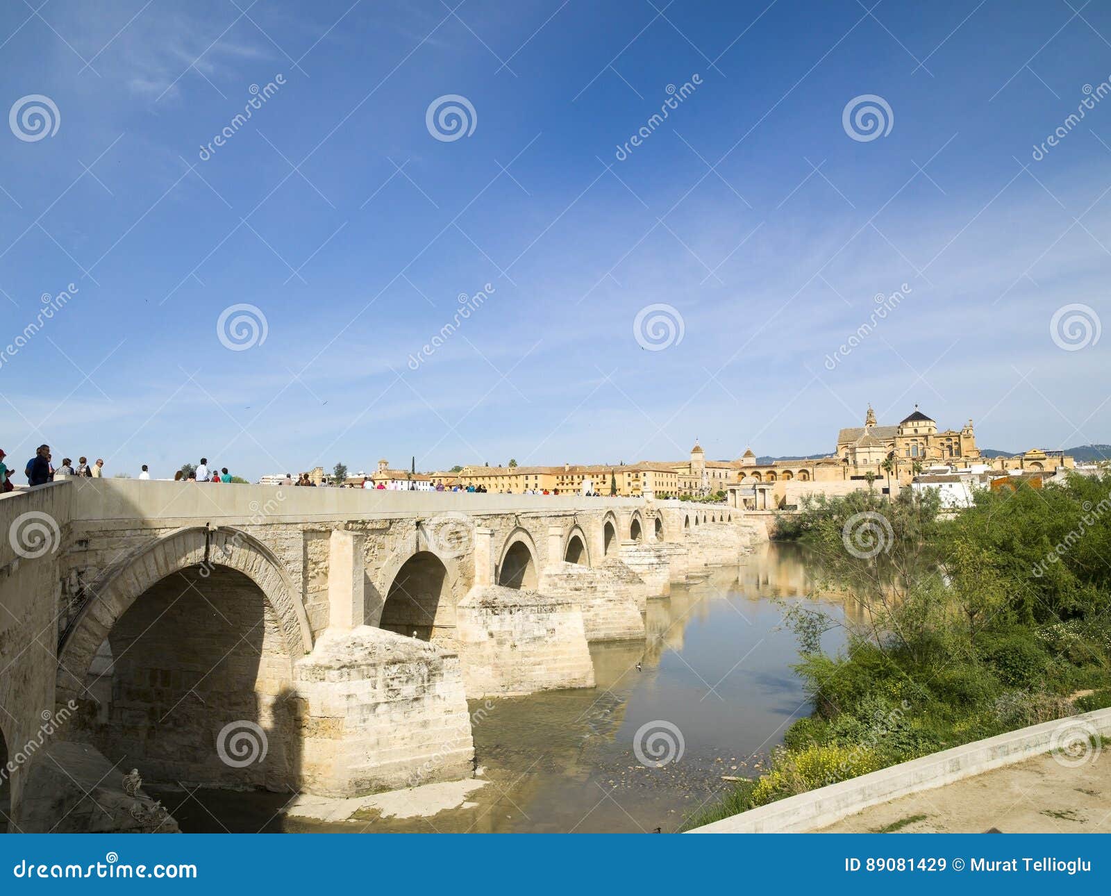 Roman Bridge of Malaga, Spain 2015 Editorial Stock Image - Image of ...