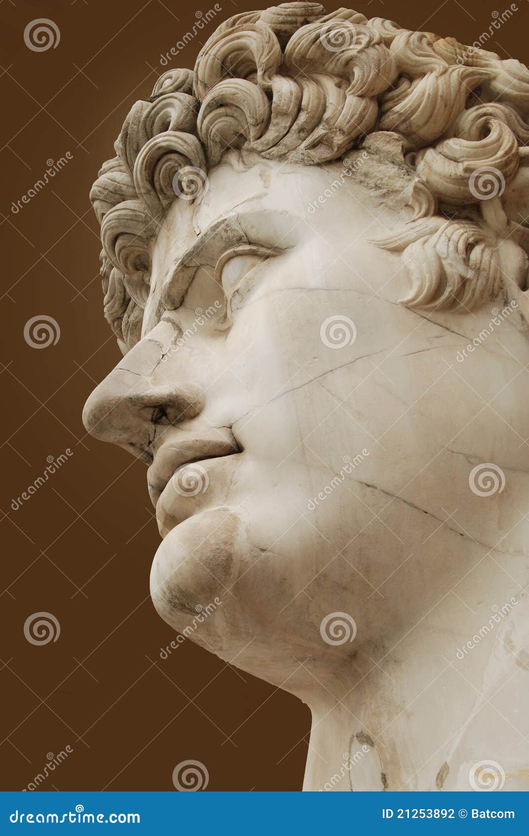 Roman bust stock photo. Image of decor, antiquity, goddess - 21253892