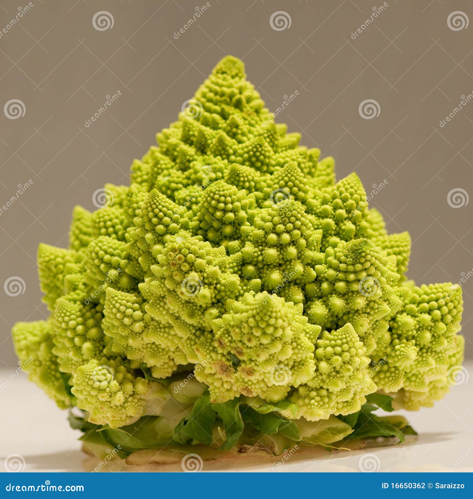 Roman cabbage stock photo. Image of broccolo, alimento - 16650362