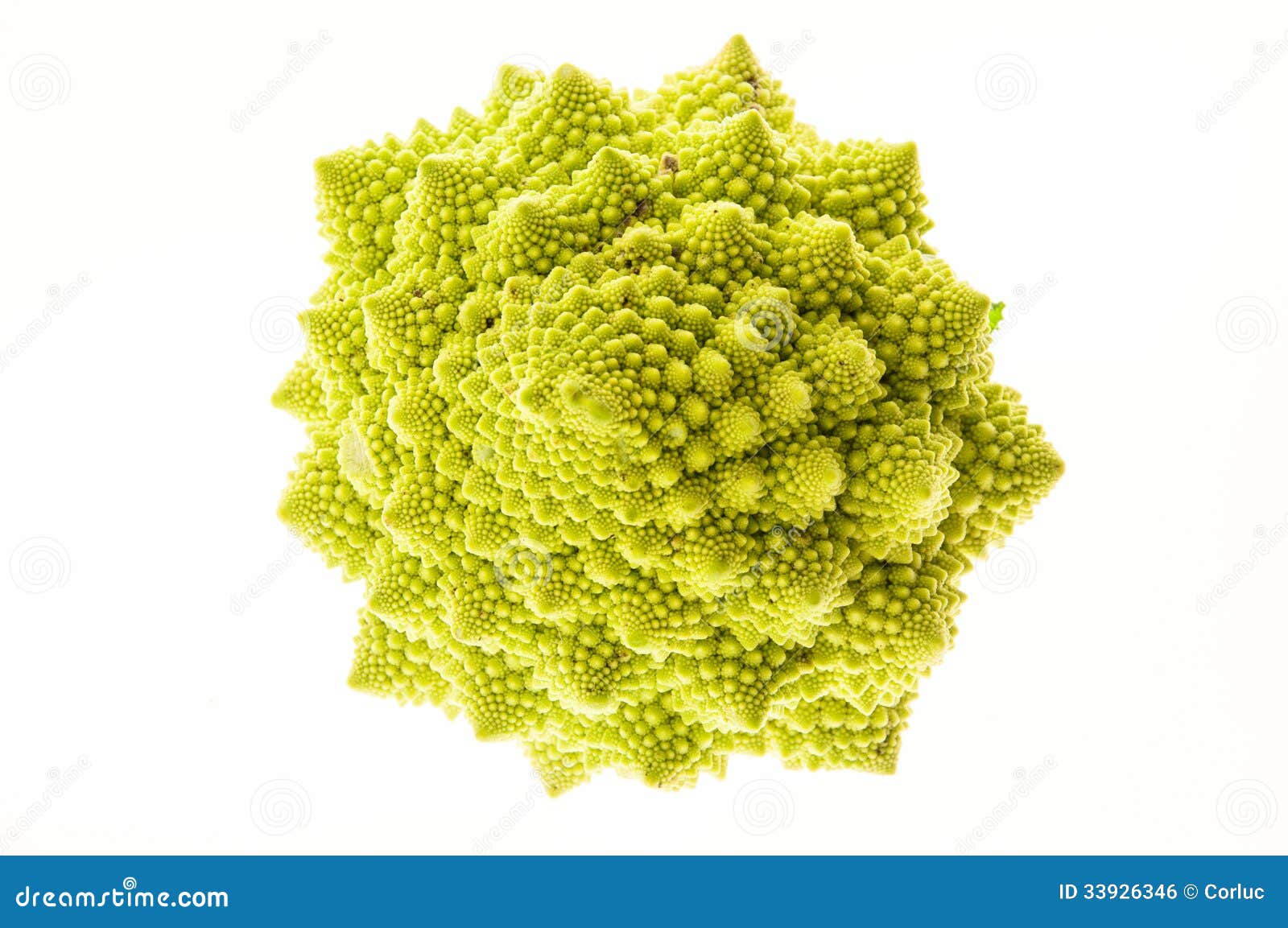 Roman cabbage stock photo. Image of cauliflower, vegetarian - 33926346