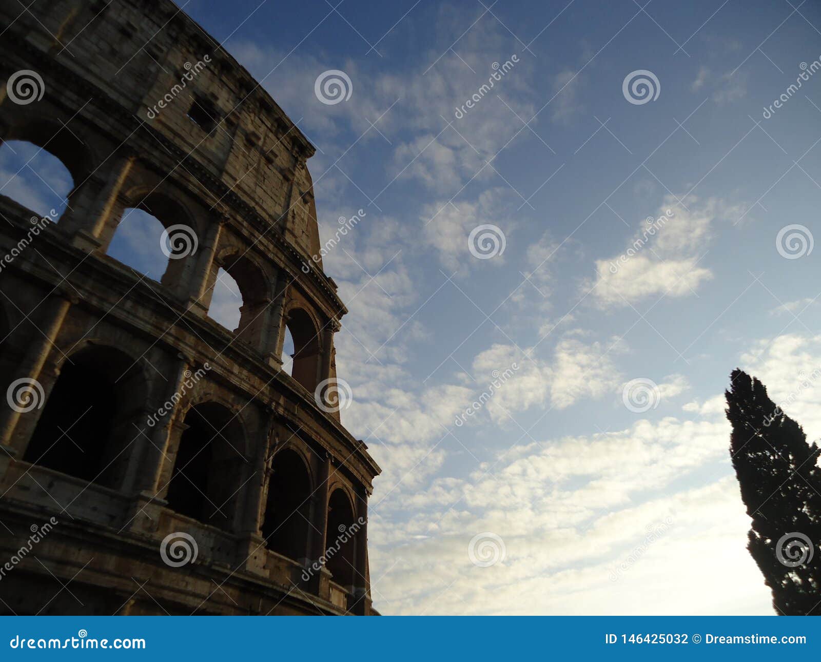 Roman colosseum with tree stock photo. Image of italian - 146425032