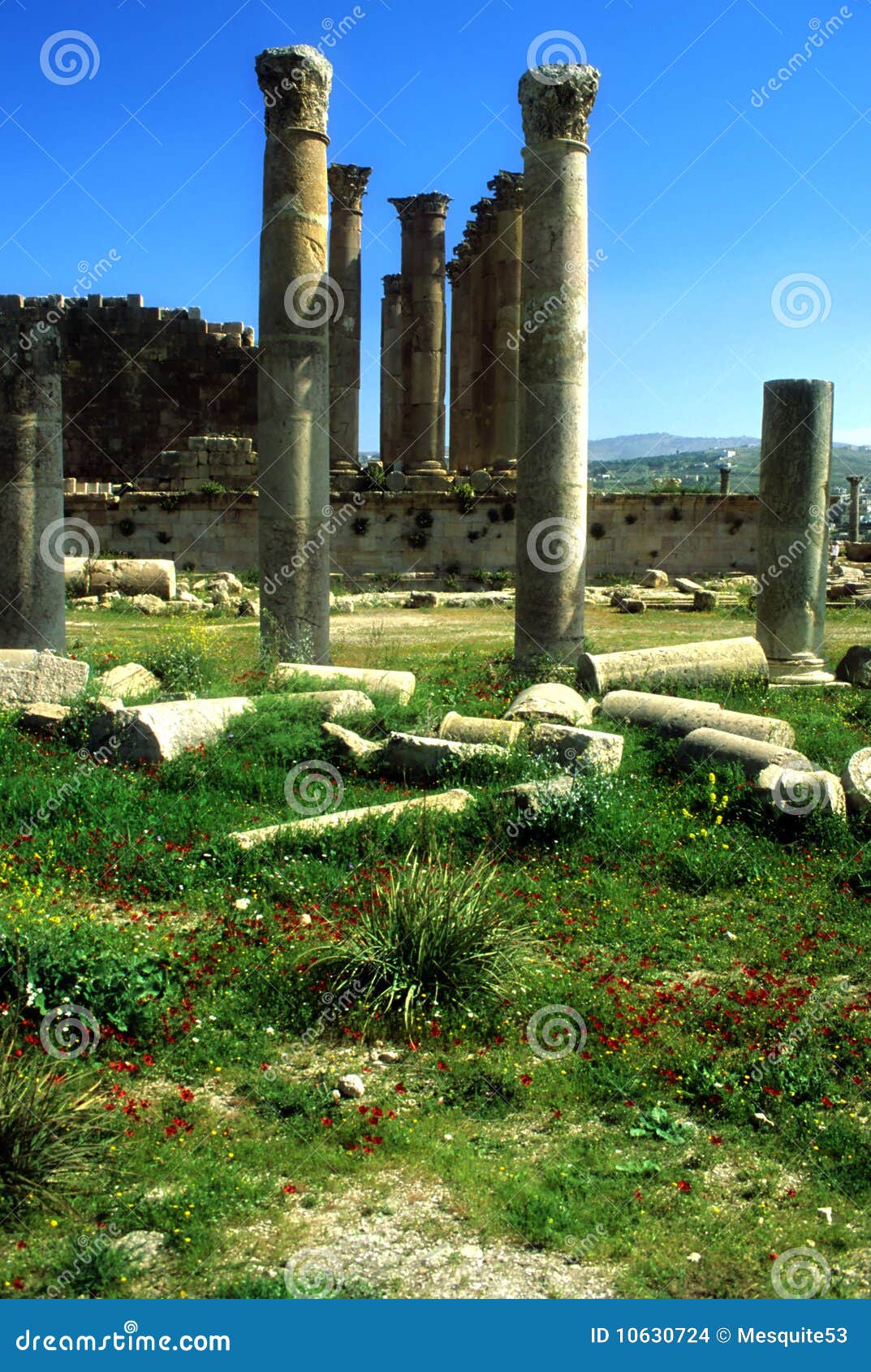 Roman Columns Stock Photography | CartoonDealer.com #10630724