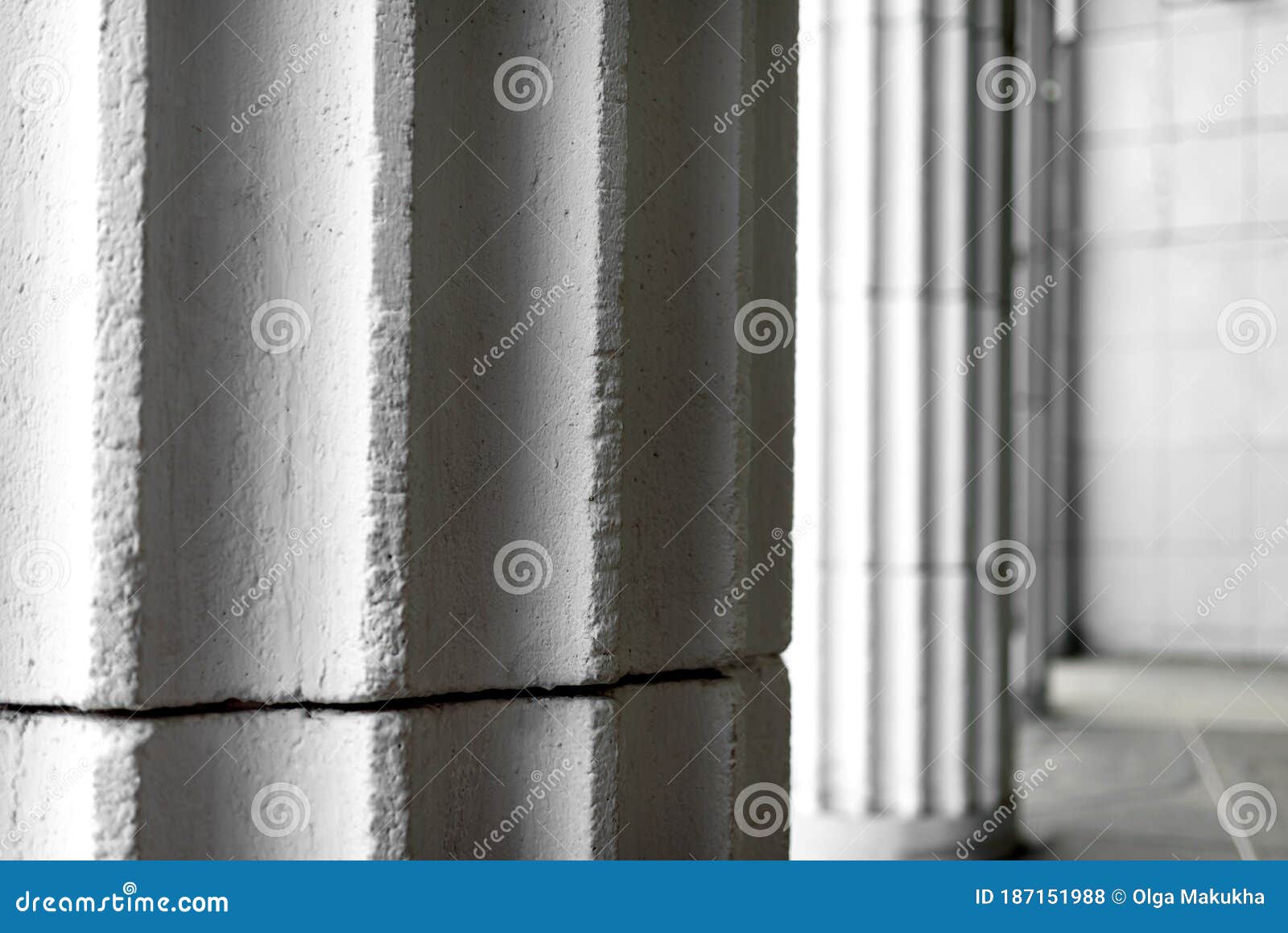Roman Columns of the Building are Gray, Gray Gradient, Perspective ...