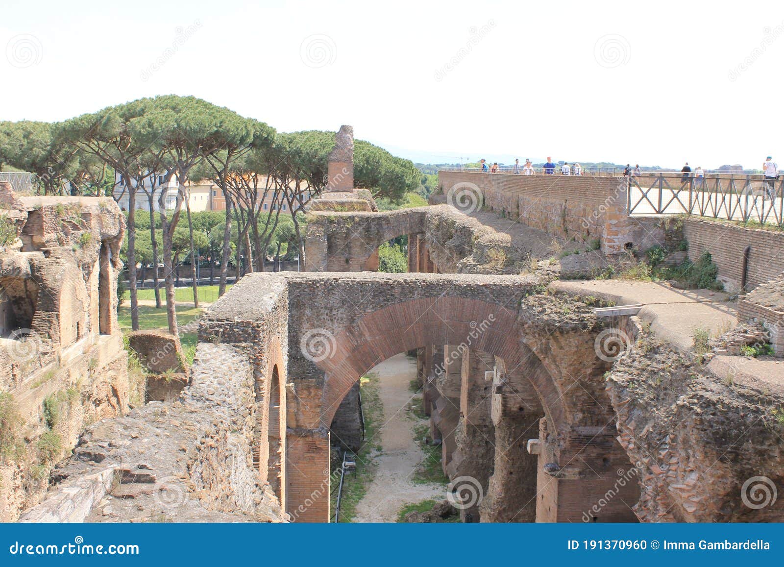 The Roman Forums, a Walk in the Ancient Roman Forum Makes Us Travel ...