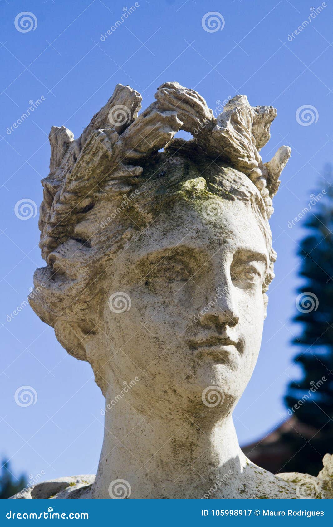 Roman head statue stock image. Image of history, portrait - 105998917