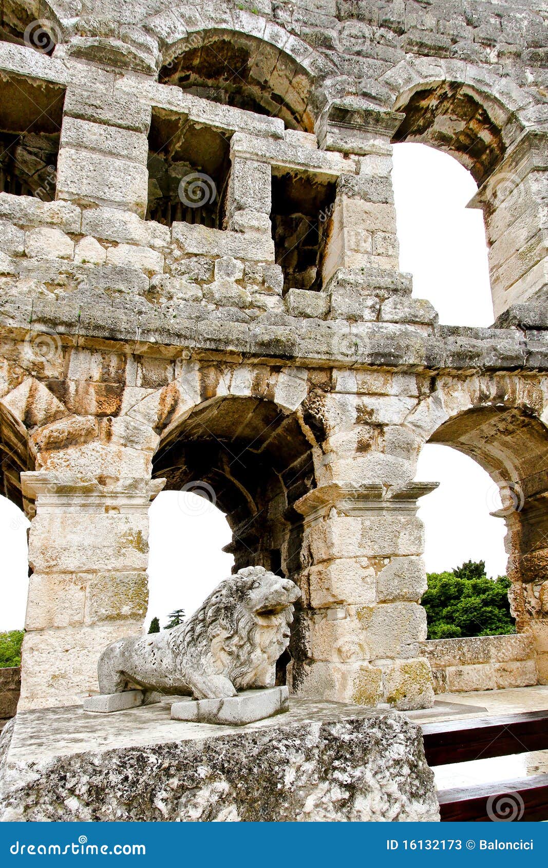 Roman lion stock image. Image of romans, arches, history - 16132173