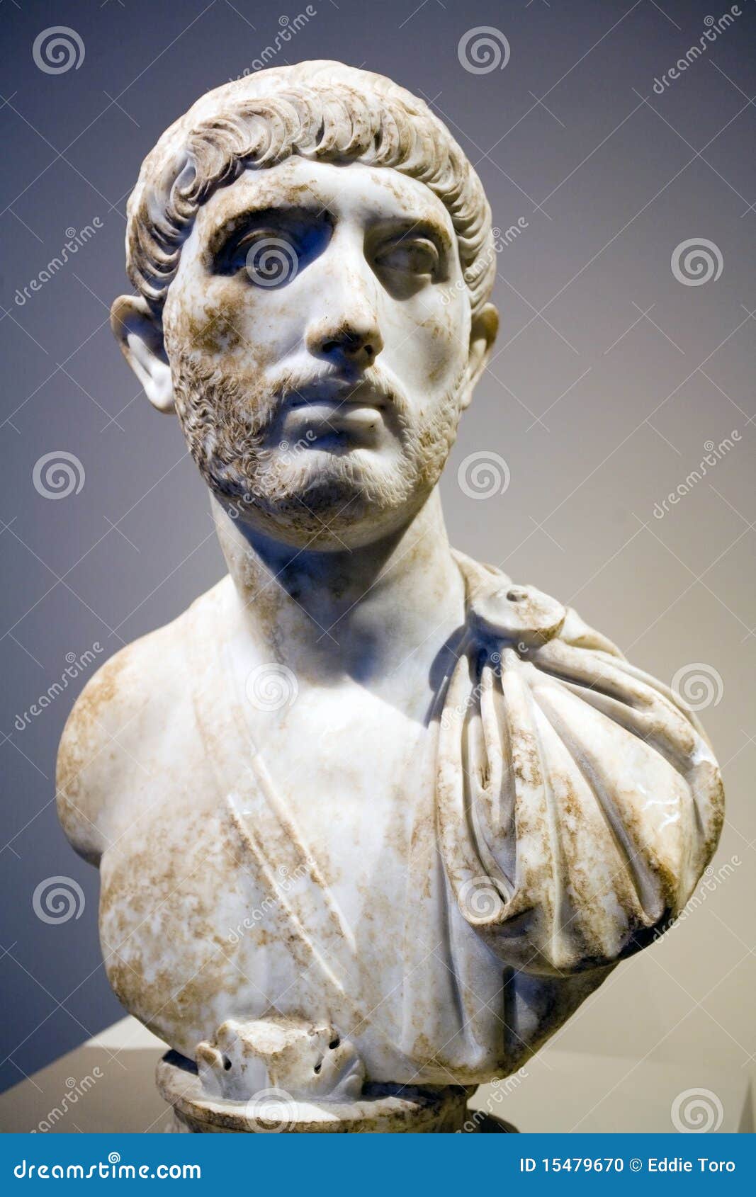 1,740 Roman Marble Bust Man Photos - Free & Royalty-Free Stock Photos ...
