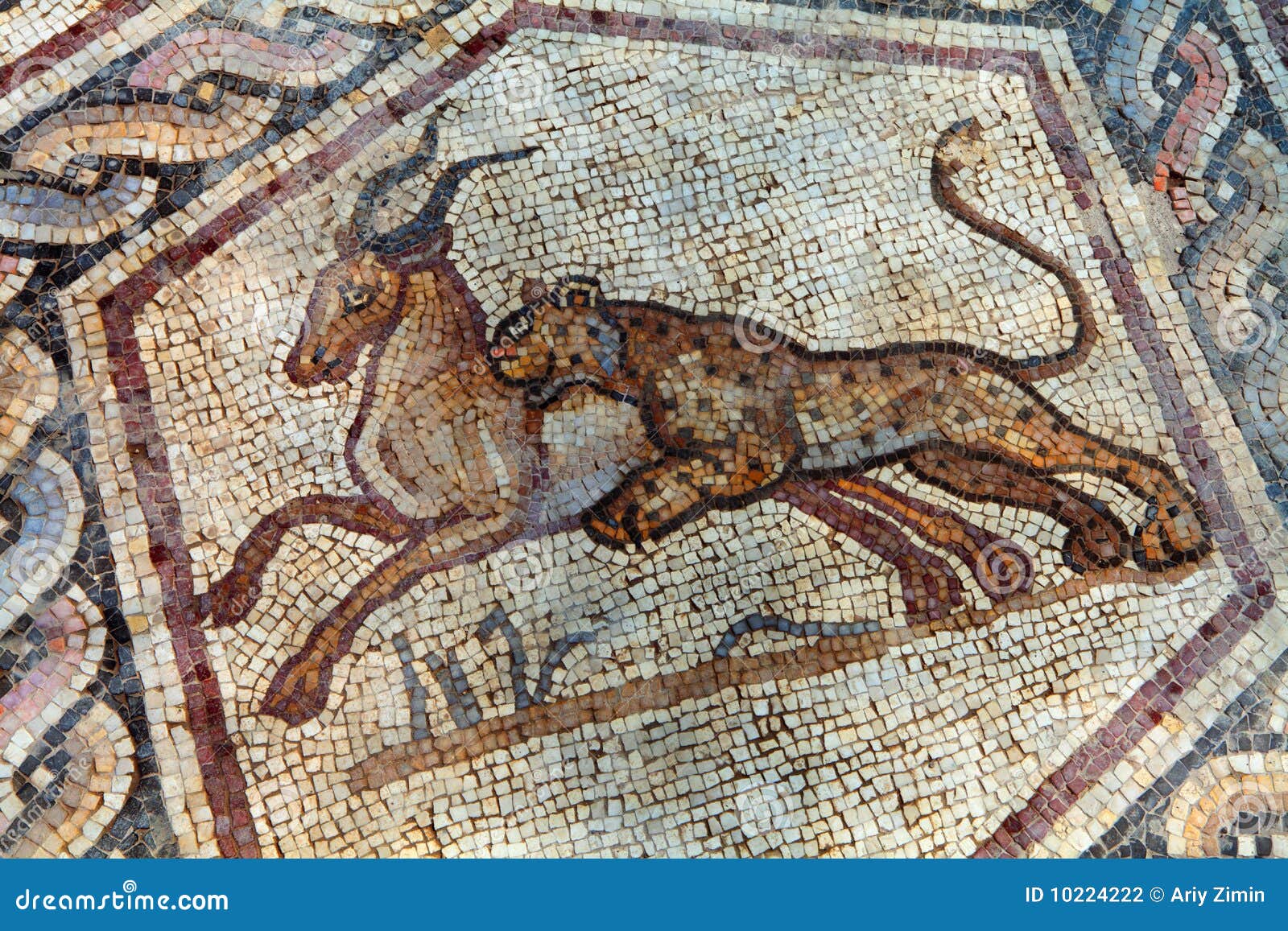 Roman mosaic stock photo. Image of merchant, christian - 10224222