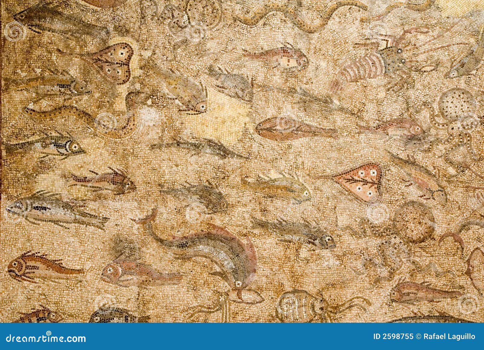 Mosaic Tessellation Texture On The Floor Stock Photography ...