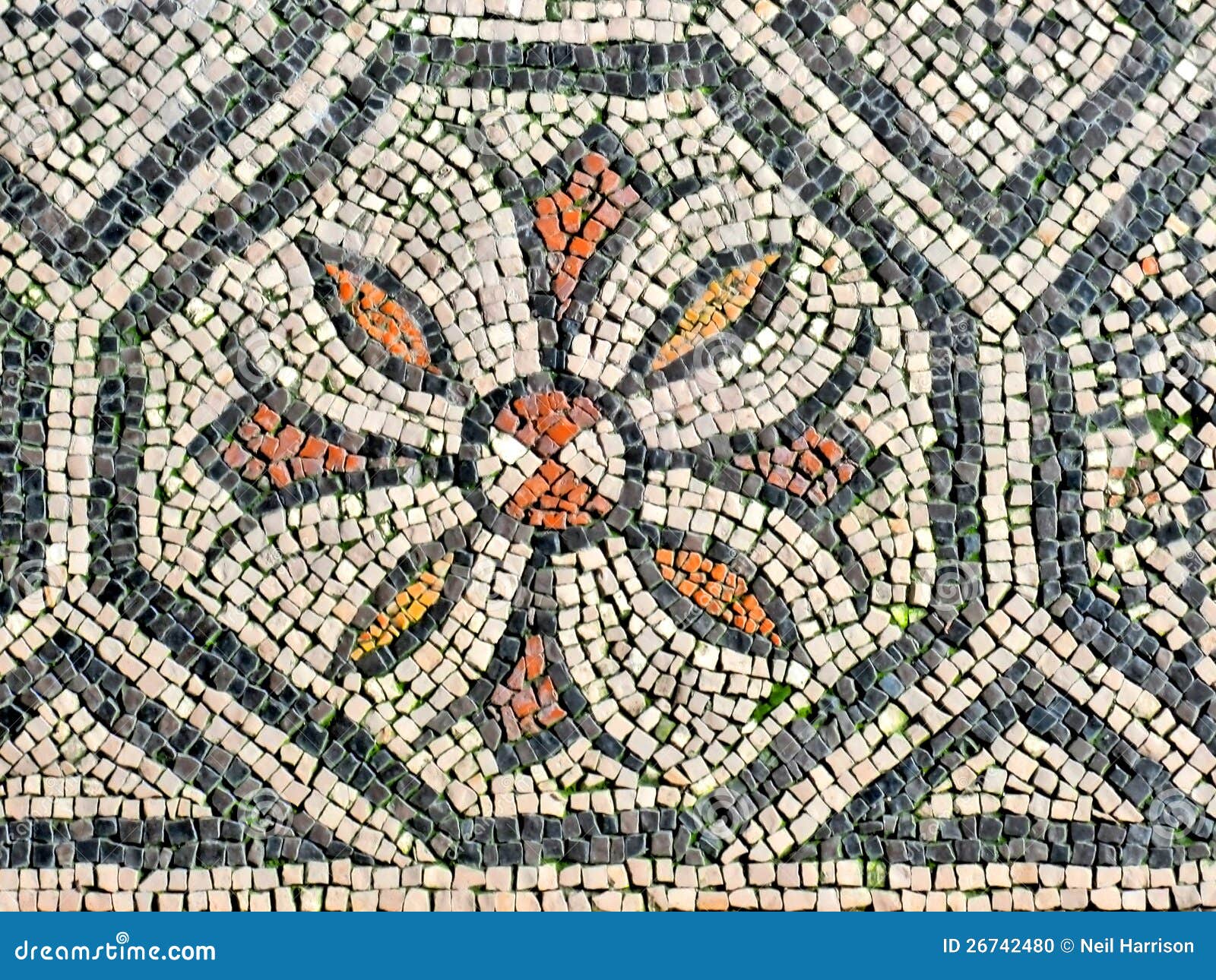 Roman mosaic stock photo. Image of flower, pattern, form - 26742480