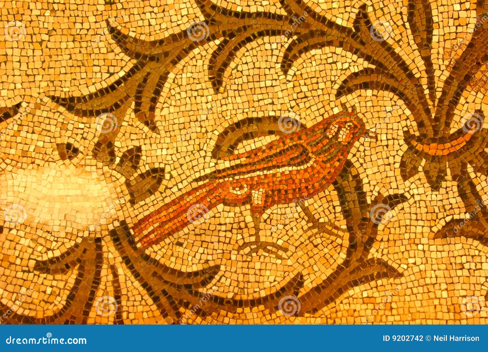 Roman mosaic of a bird stock photo. Image of mosaic, religious - 9202742