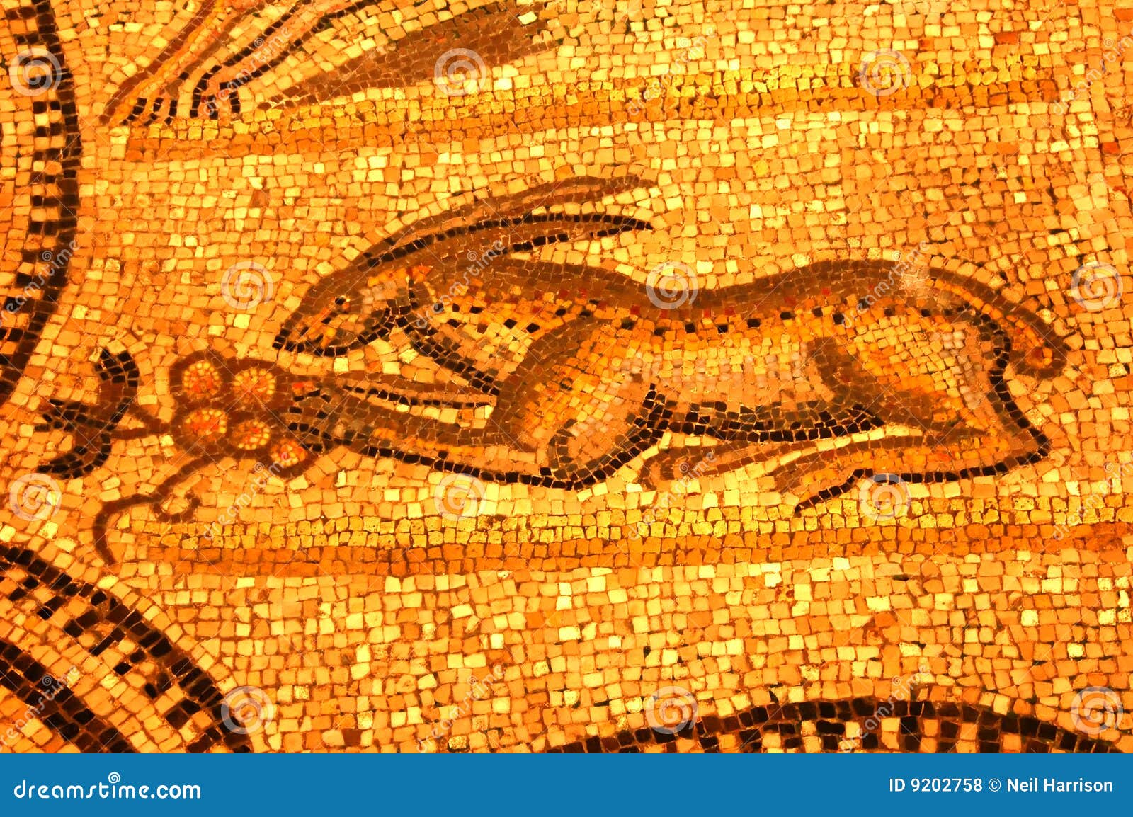 Roman mosaic of a hare stock photo. Image of religious - 9202758