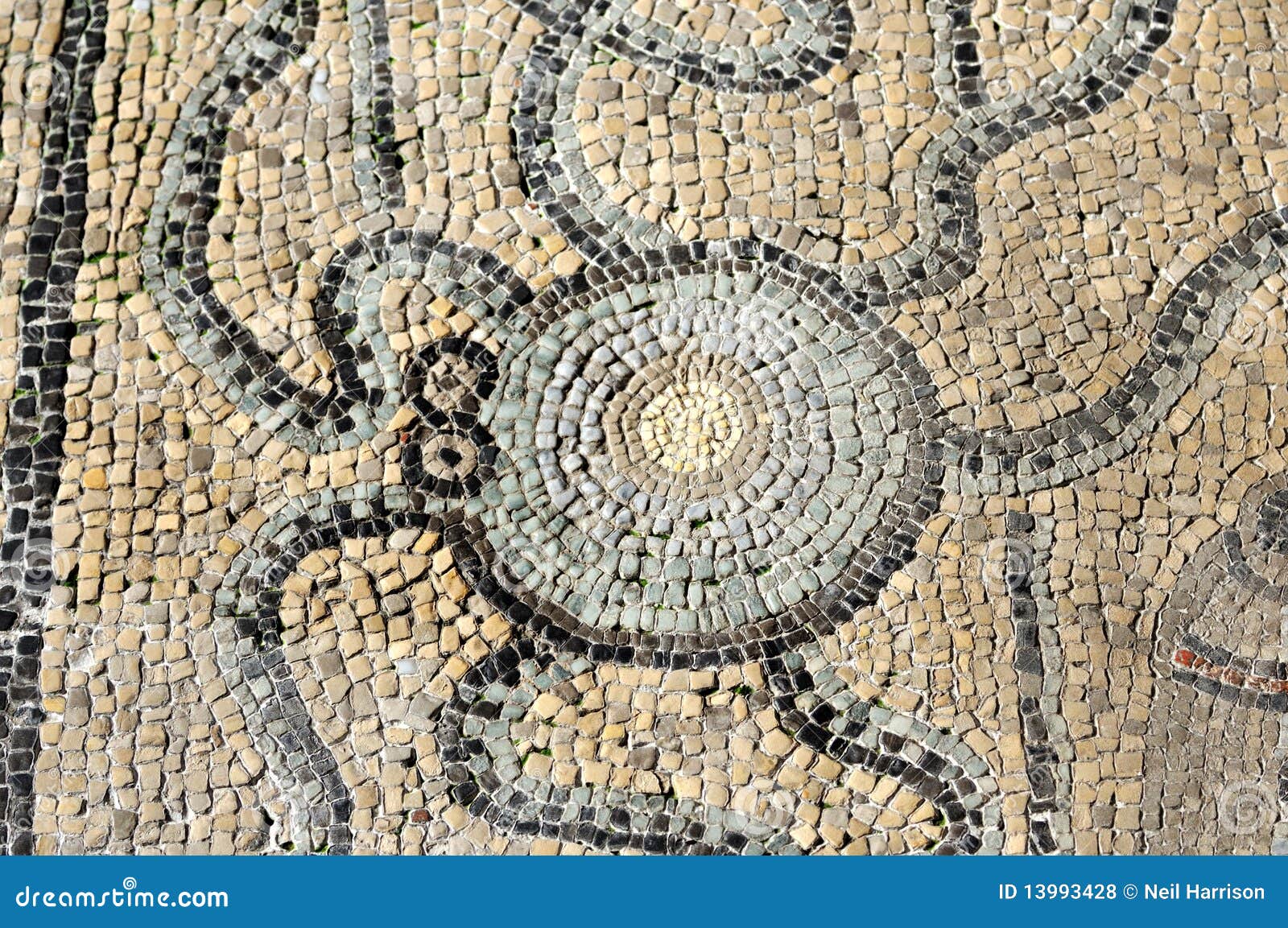 Roman mosaic of an octopus stock photo. Image of eyes - 13993428