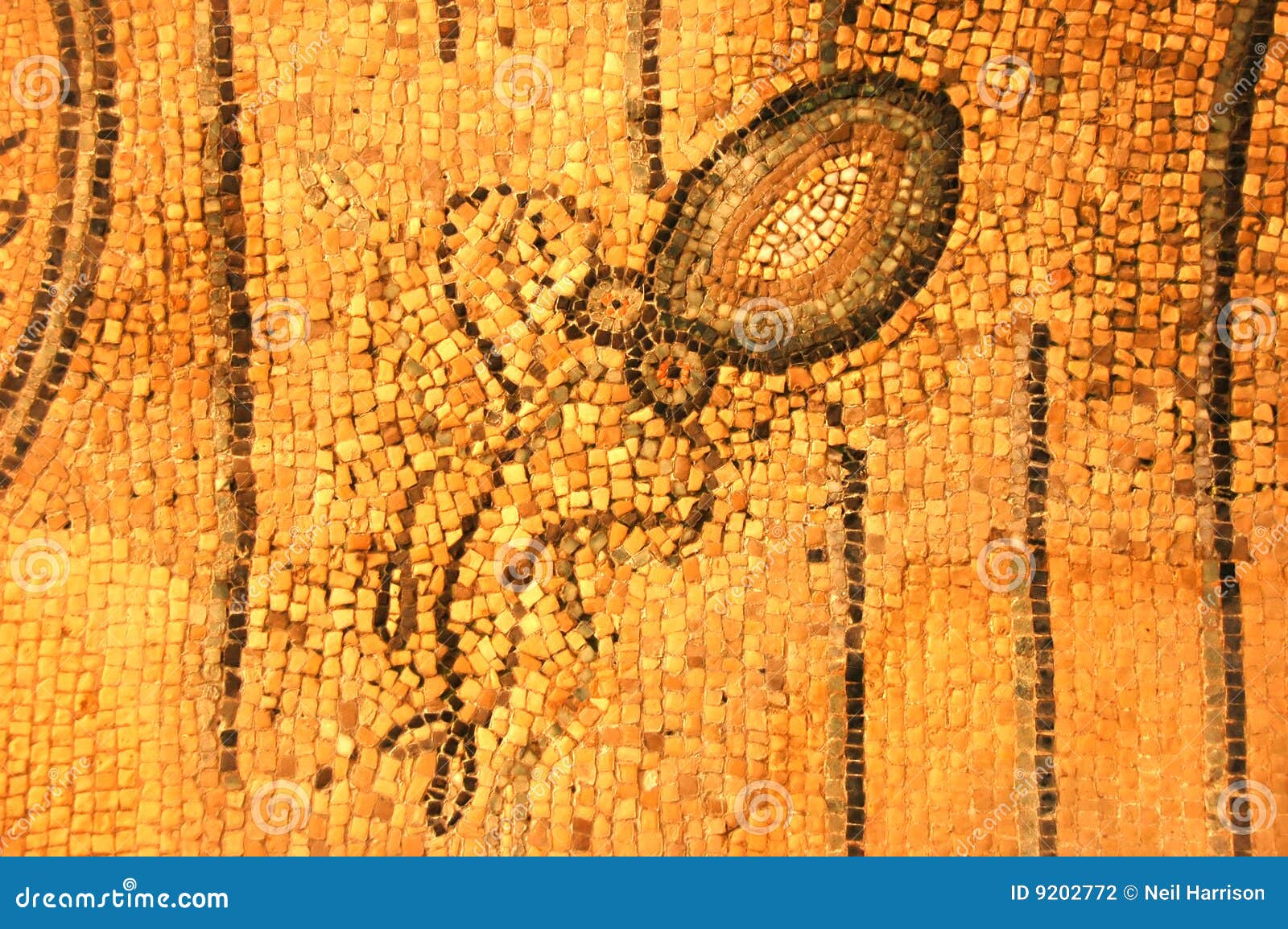 Roman mosaic of an octopus stock photo. Image of food - 9202772