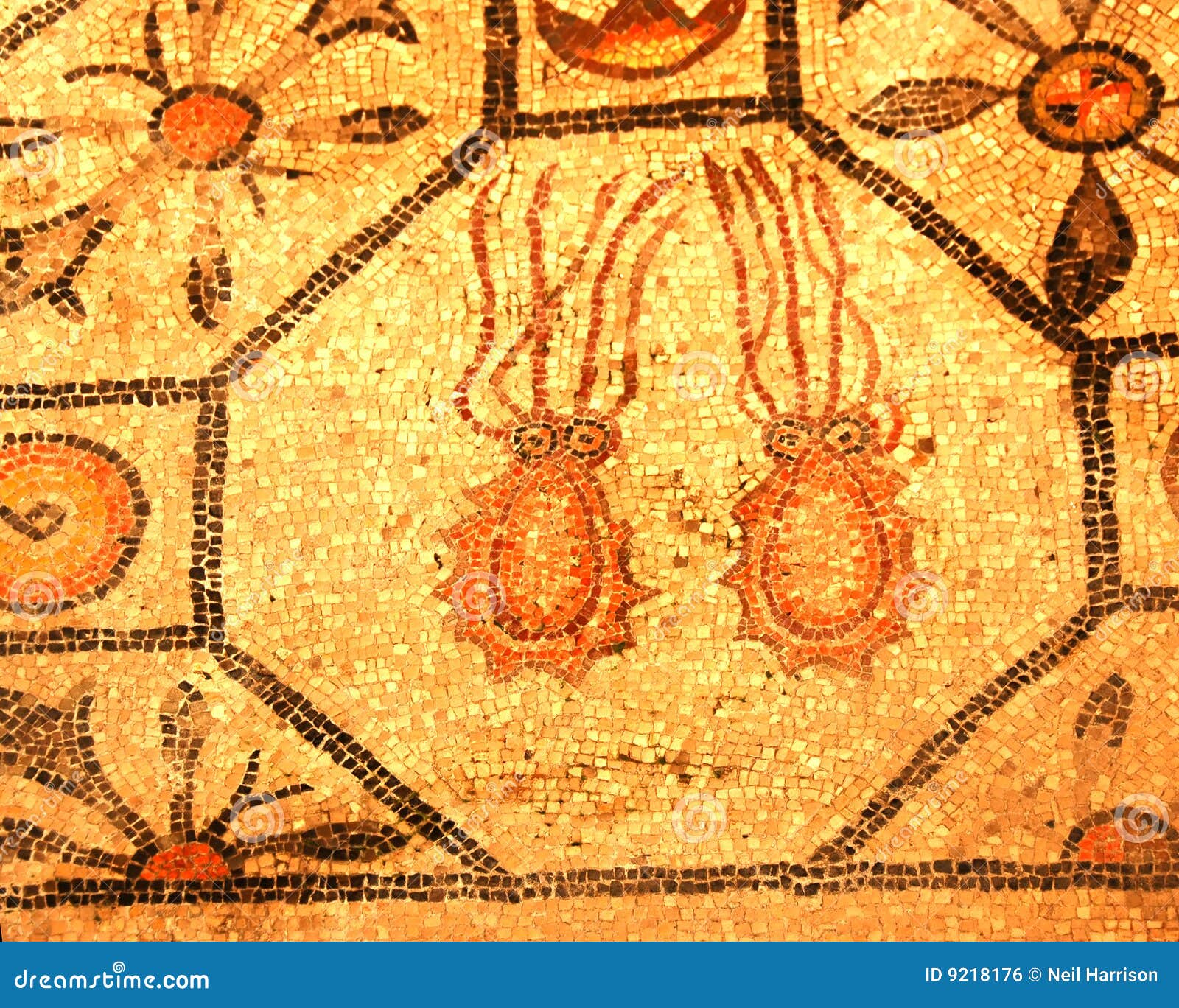 Roman Mosaic of Two Octopus Stock Photo - Image of rome, temple: 9218176