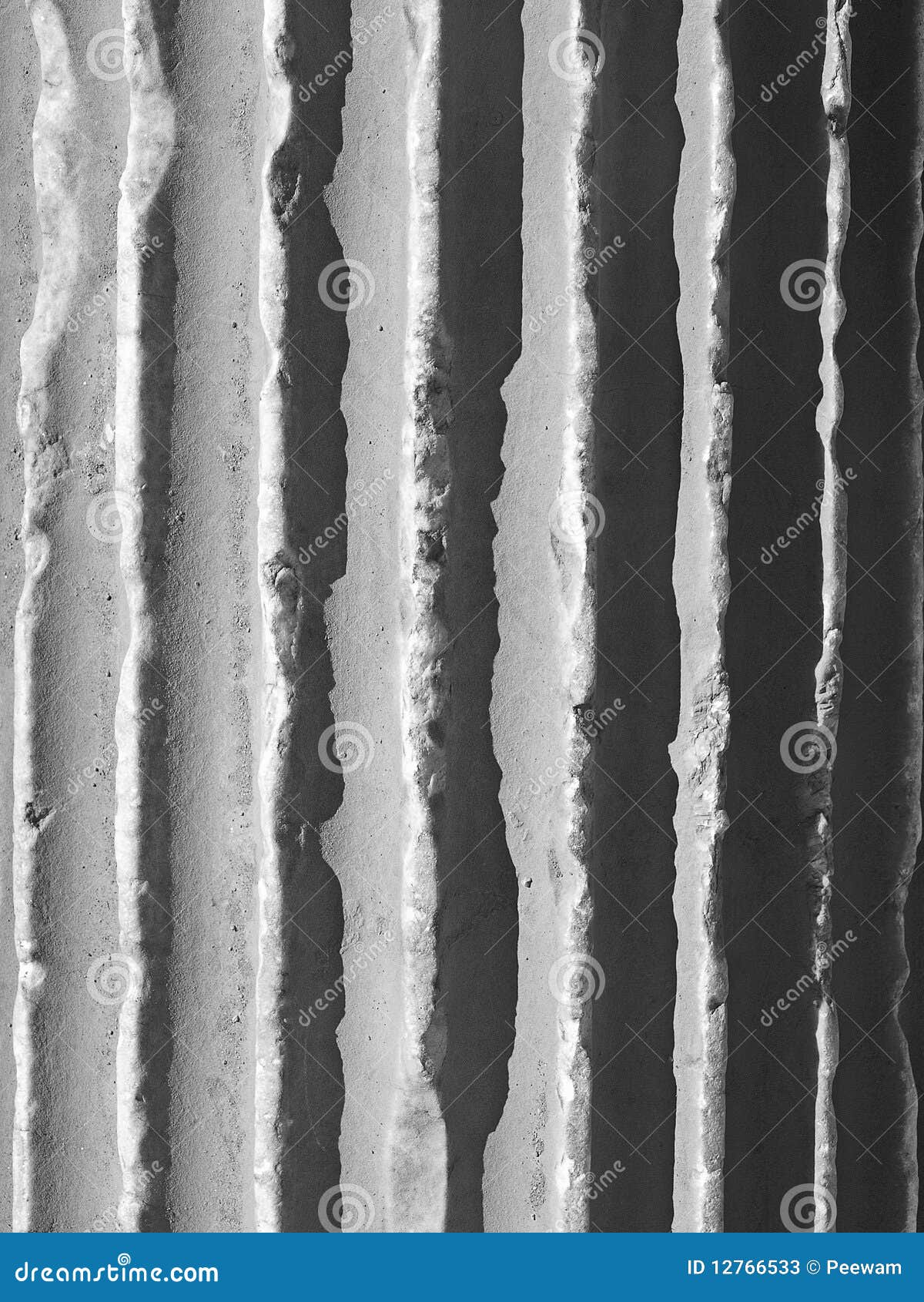 Roman Pillar - Black and White Close Up Column in Rome Italy Stock ...