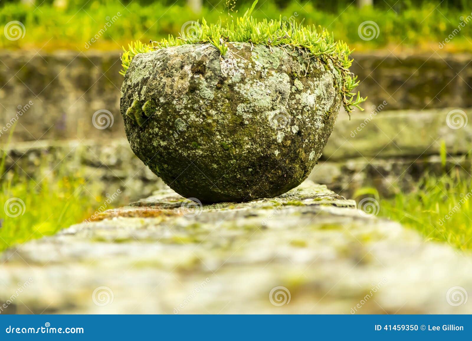 Roman Plant Pot. stock photo. Image of ancient, stone - 41459350