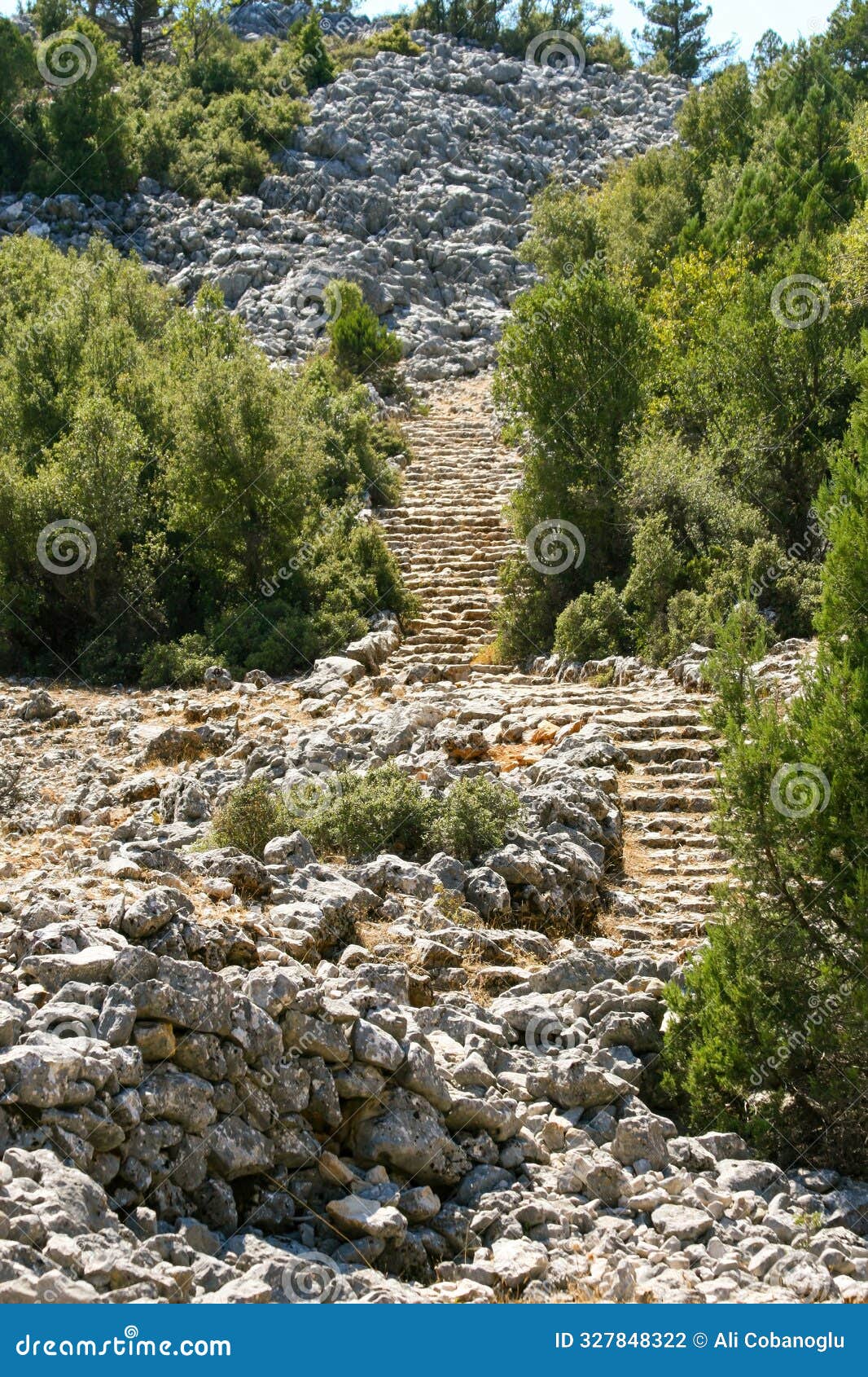 Roman Roads Stock Image | CartoonDealer.com #655159