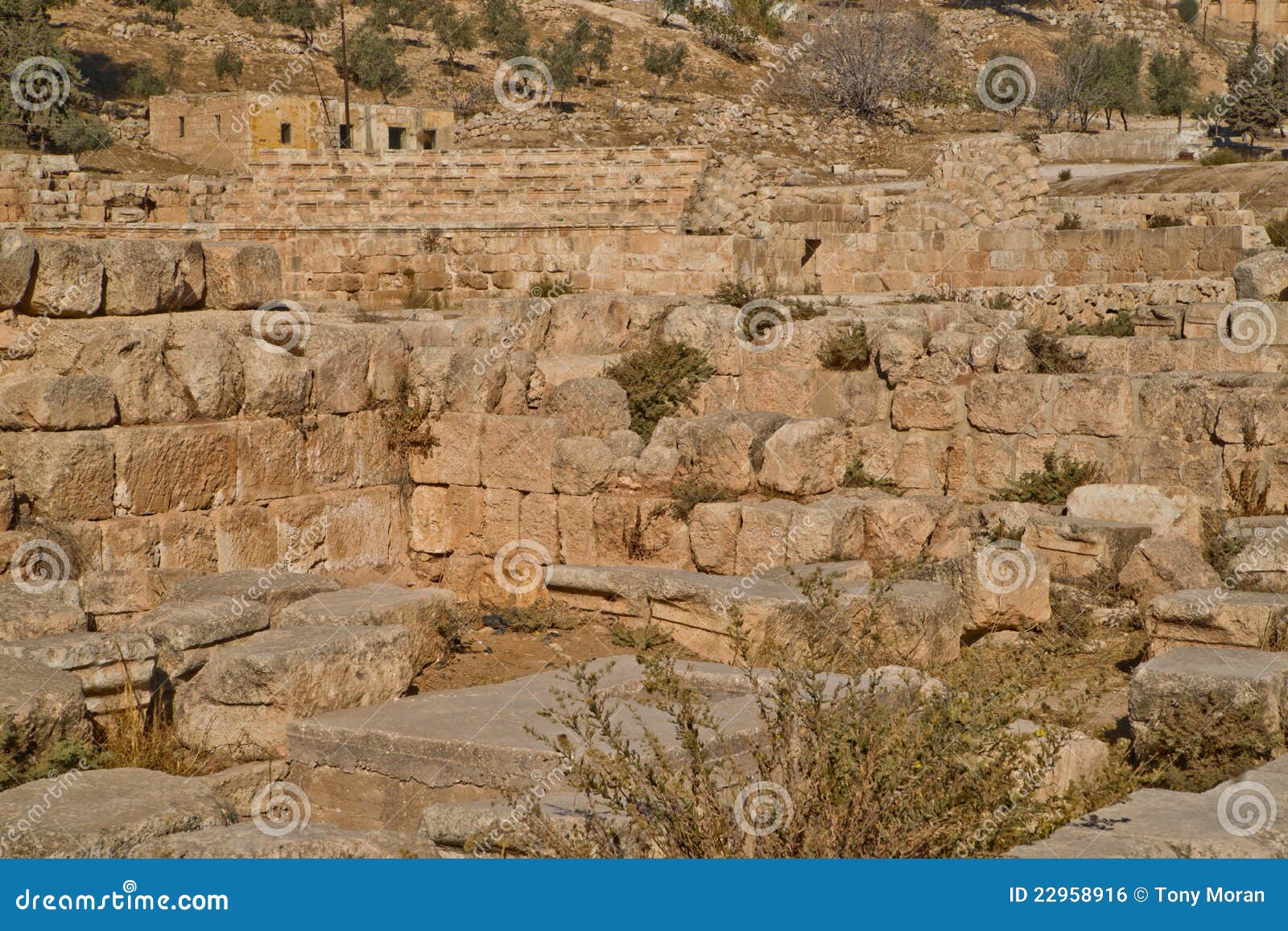 Roman Ruins in Jerash, Jordan Stock Photo - Image of city, forum: 22958916