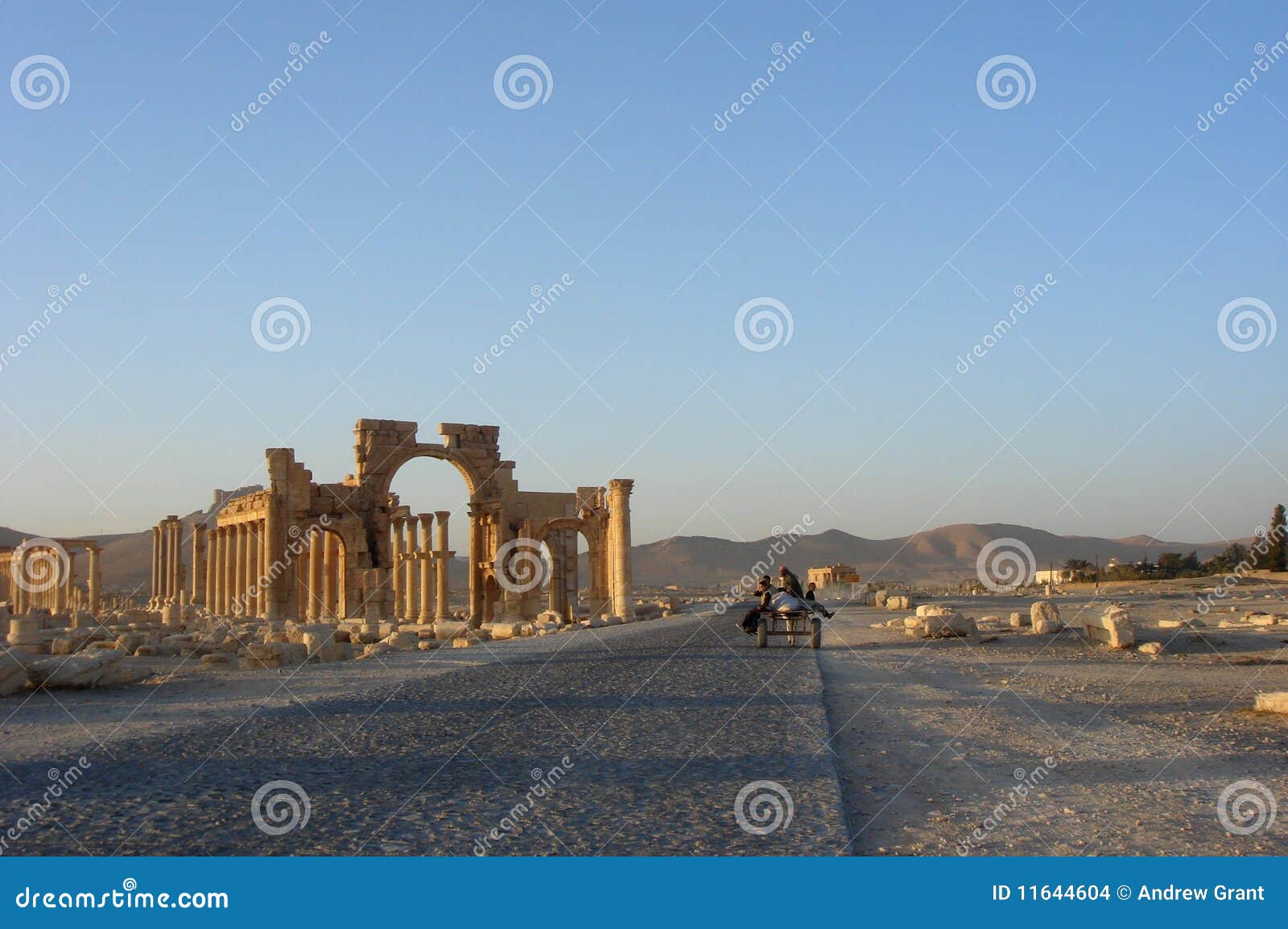 Roman Ruins of Palmyra stock photo. Image of destination - 11644604