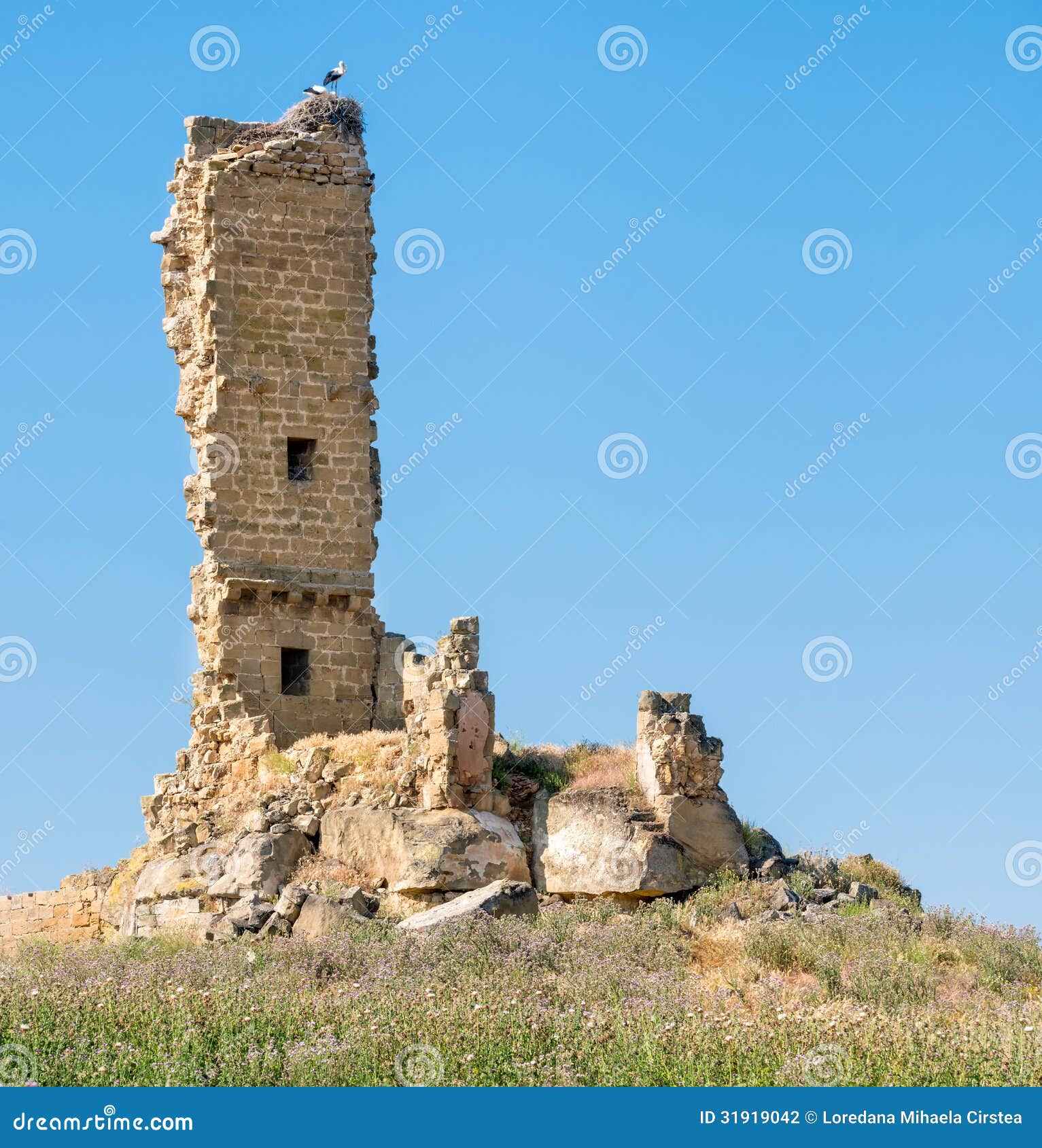Roman ruins in Spain stock photo. Image of view, spanish - 31919042