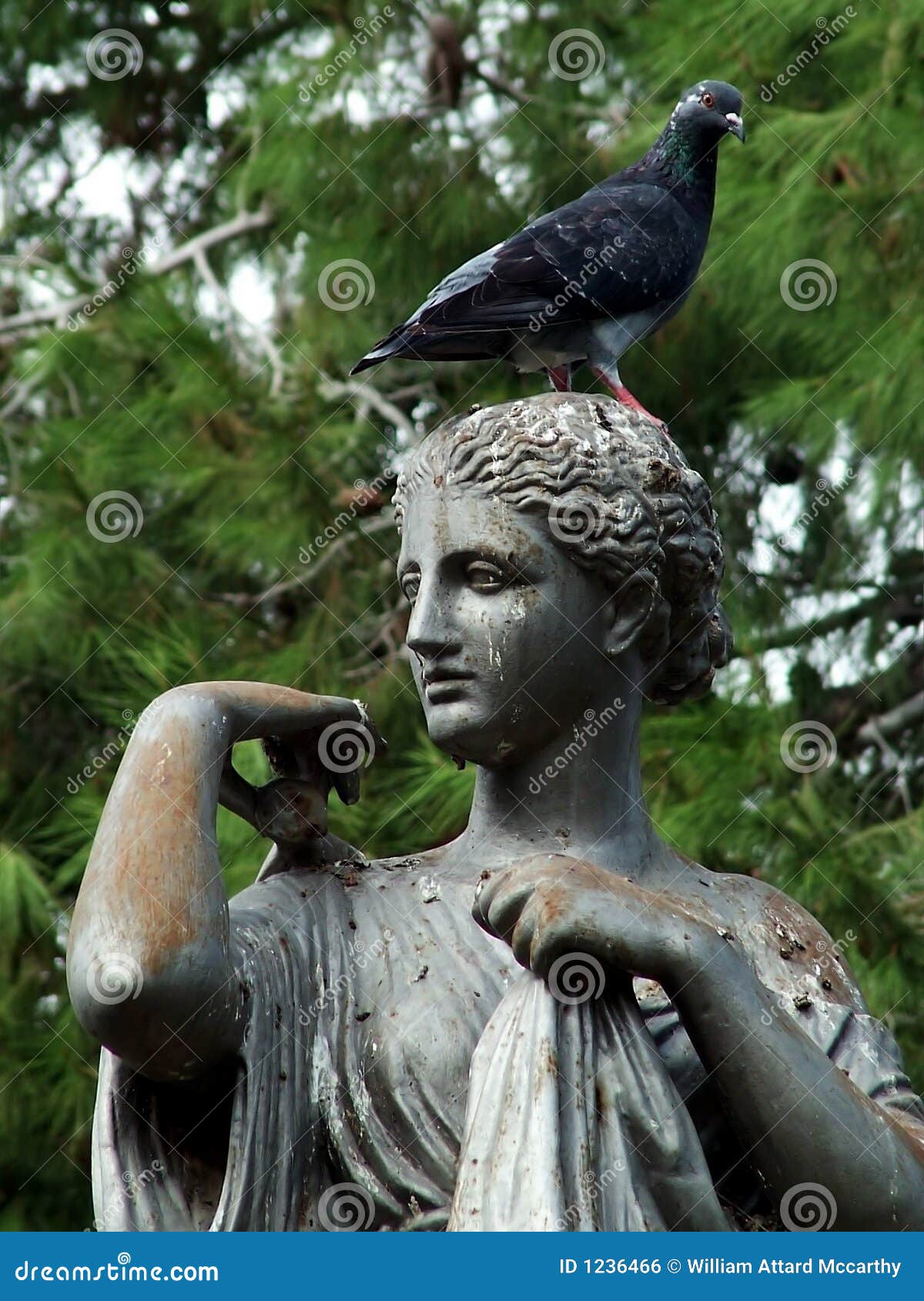 550 Roman Ghost Stock Photos - Free & Royalty-Free Stock Photos from ...