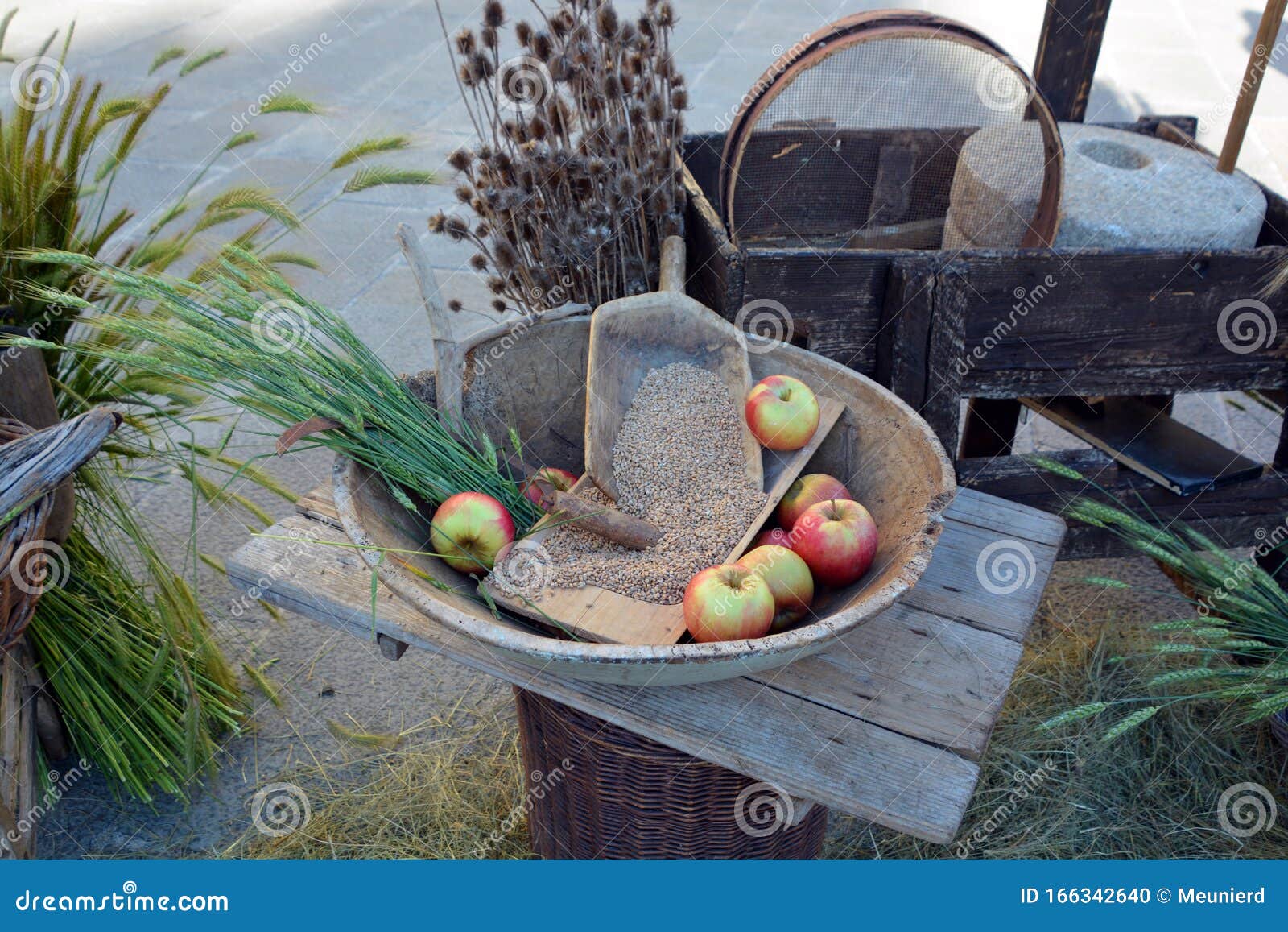 Roman time harvest stock photo. Image of harvest, food - 166342640