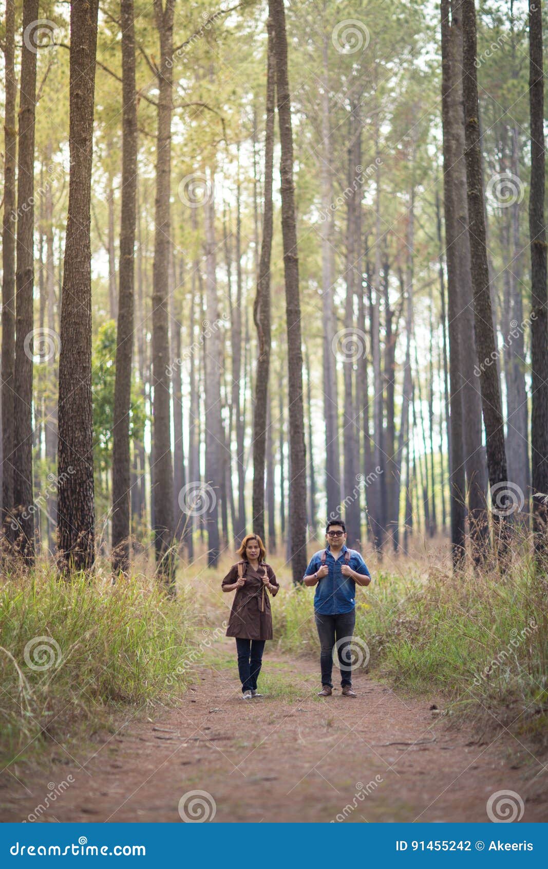 Romance in forest stock photo. Image of park, summer - 91455242
