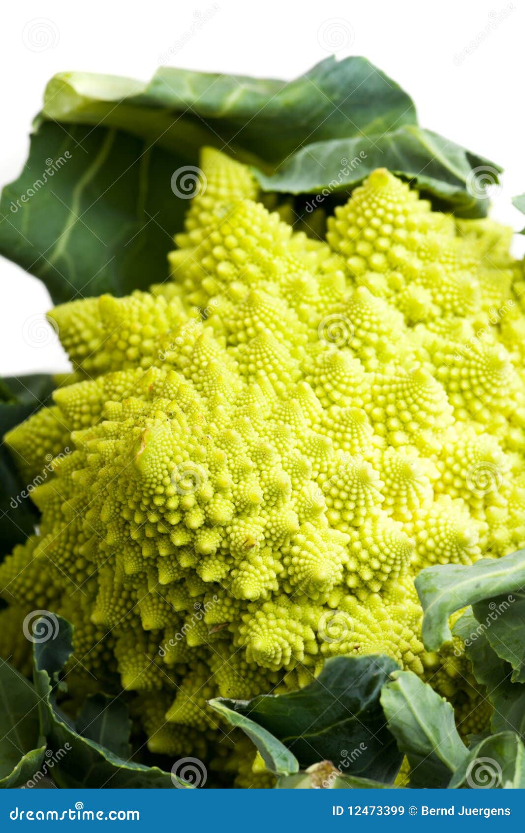 Romanesco stock image. Image of healthy, floret, broccoli - 12473399