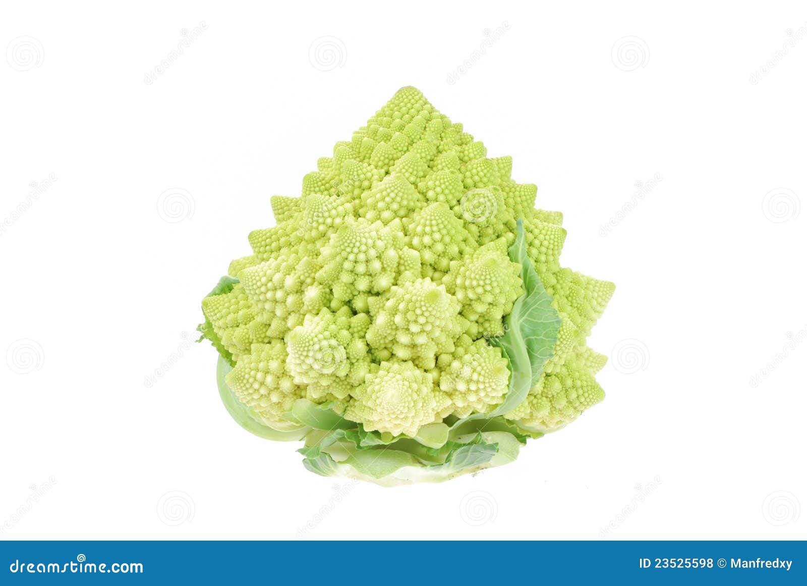 Romanesco stock photo. Image of fresh, vegetable, romanesco - 23525598