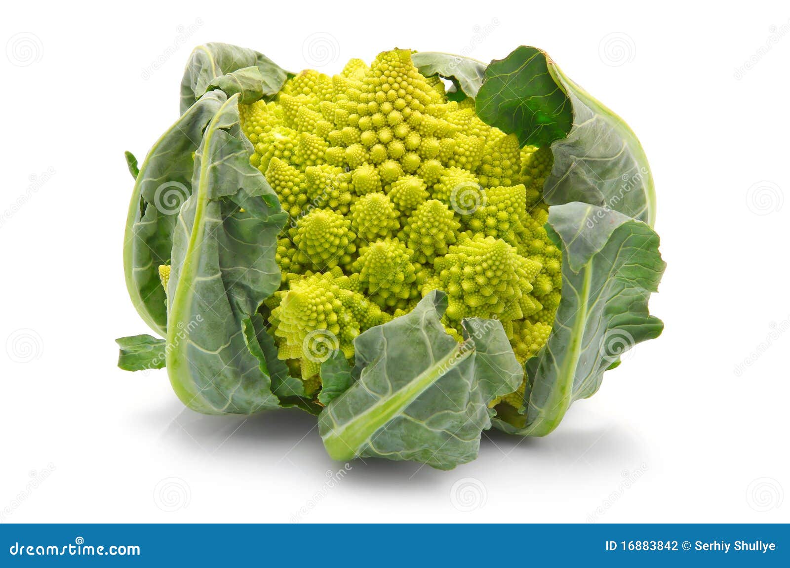 Romanesco Broccoli Cabbage Isolated Stock Photo - Image of cauliflower ...