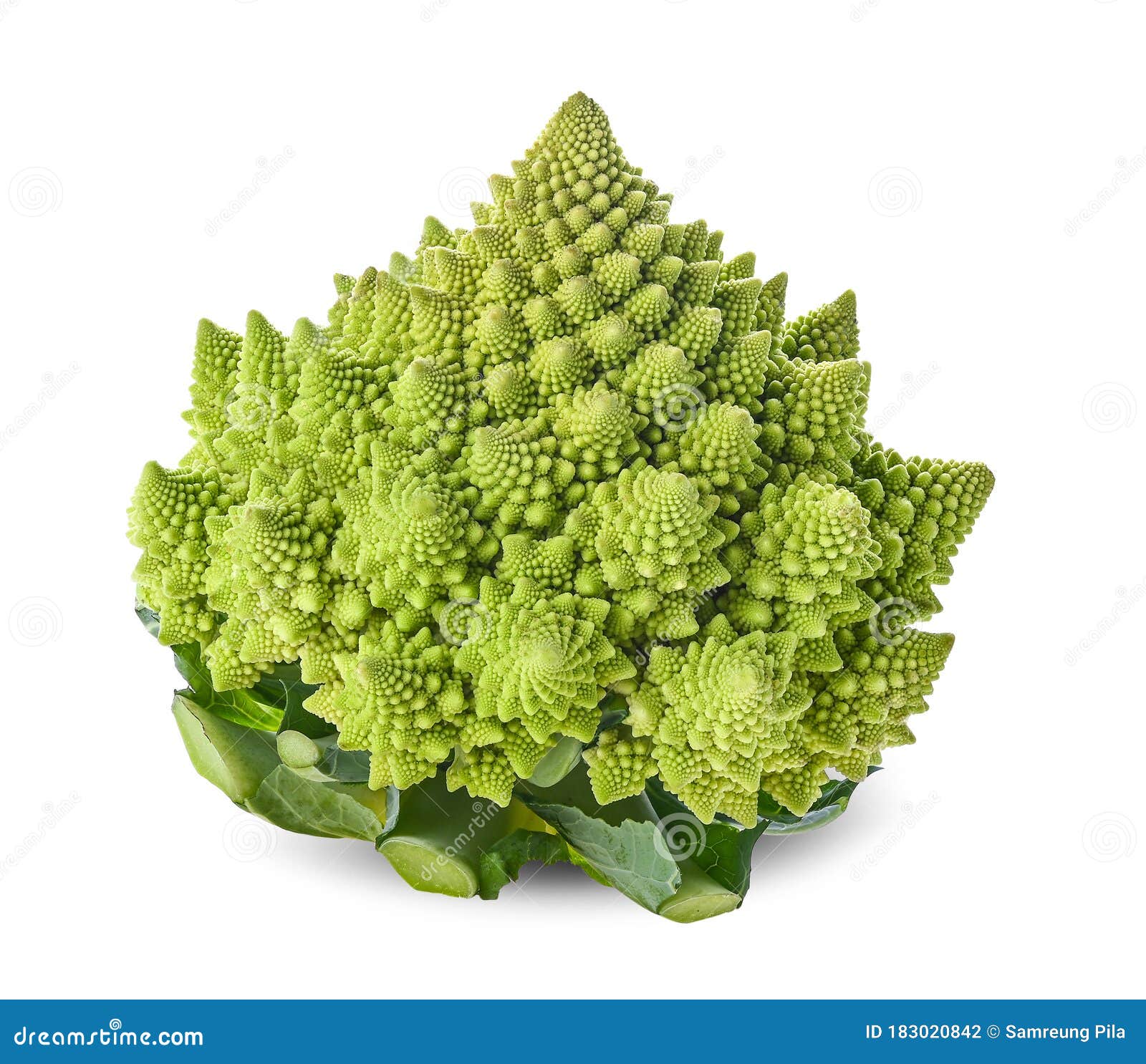 Romanesco Broccoli Cabbage or Roman Cauliflower Isolated on White ...