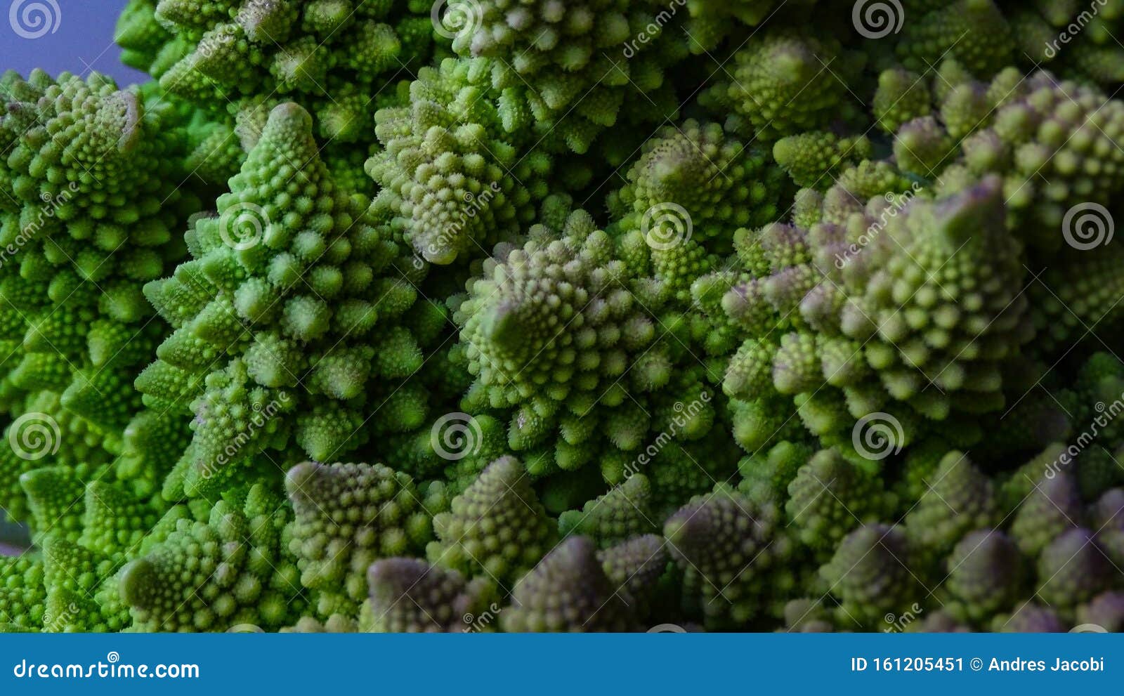 Romanesco Broccoli Close Up Stock Image - Image of fresh, bellow: 161205451
