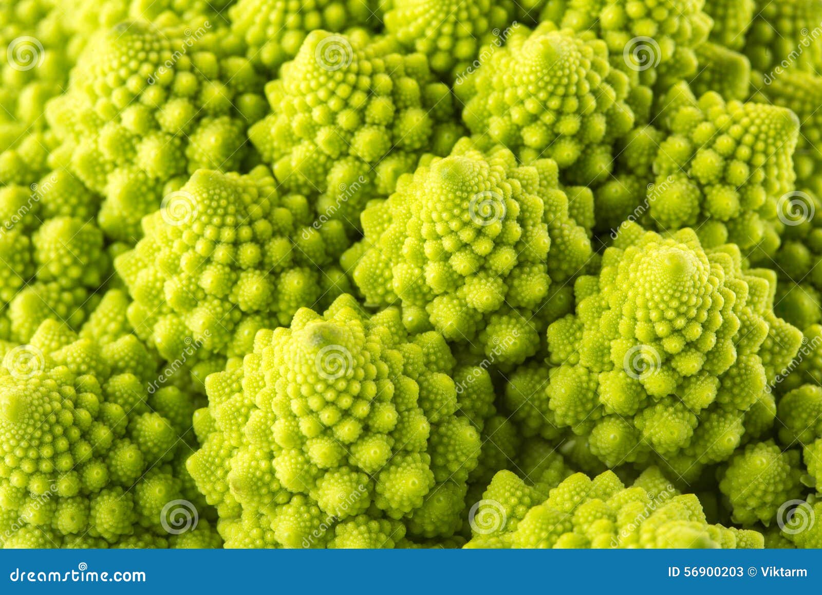 Romanesco Broccoli Close Up. The Fractal Vegetable Is Known For It`s ...