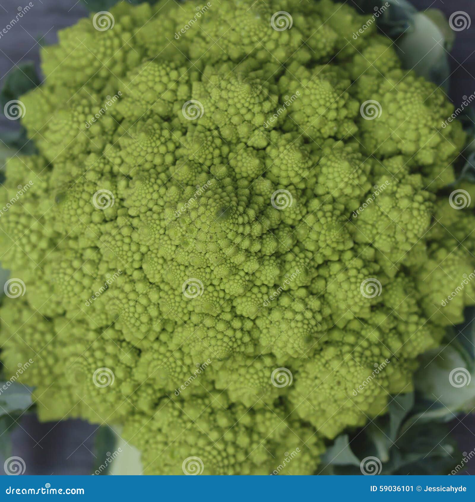 Romanesco broccoli stock image. Image of abstract, cauliflower - 59036101