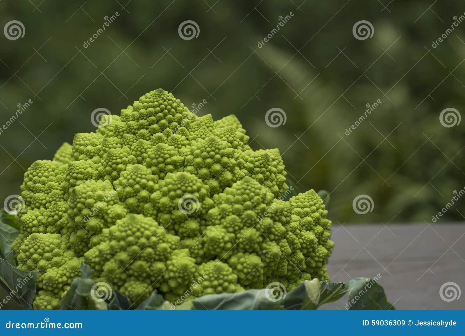 Romanesco broccoli stock image. Image of agriculture - 59036309