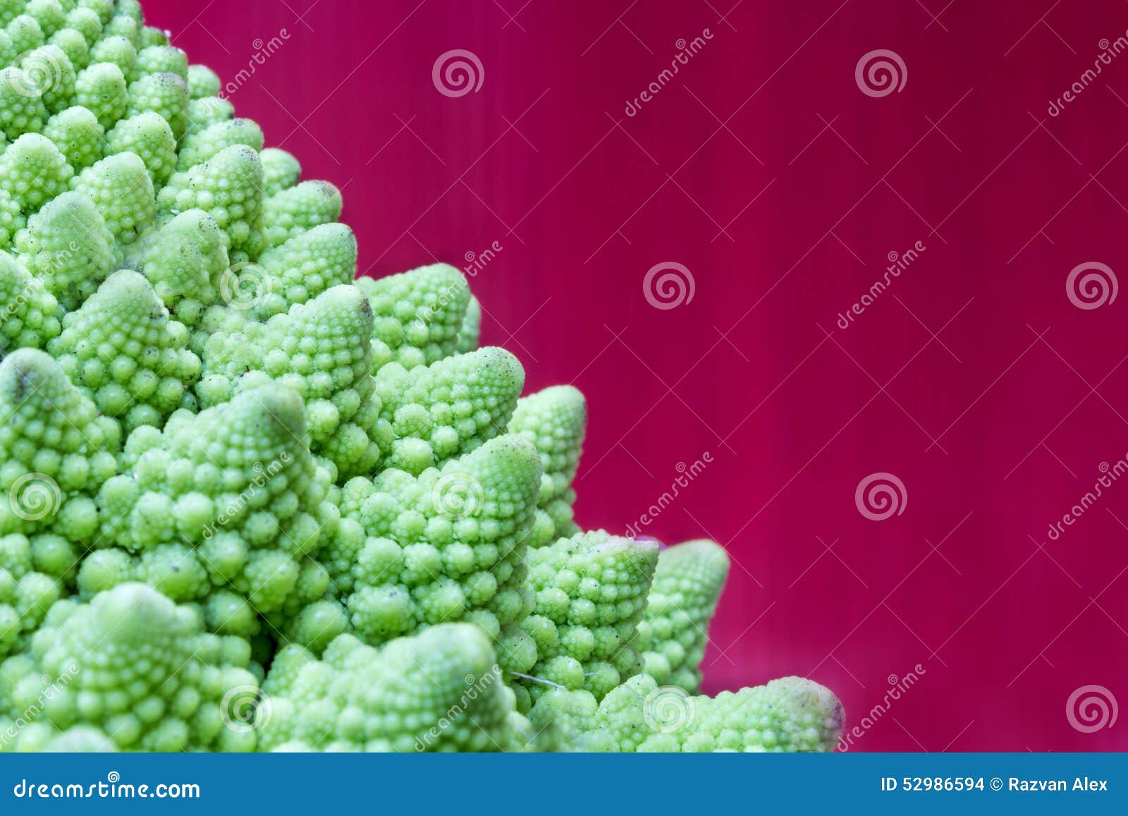 Romanesco Broccoli stock photo. Image of broccoli, math - 52986594