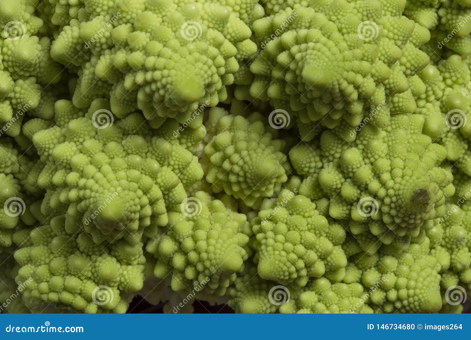Romanesco broccoli stock photo. Image of healthy, macro - 146734680