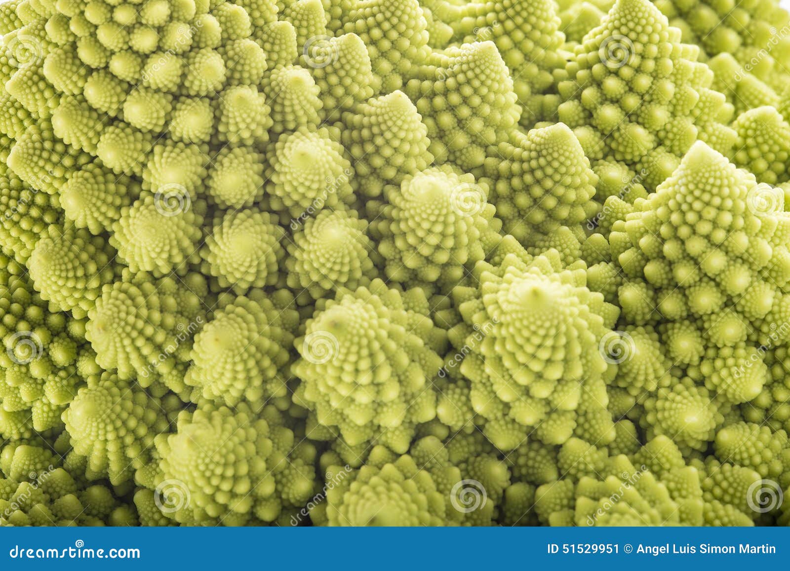 Romanesco Broccoli Vegetable Texture Stock Image - Image of diet ...