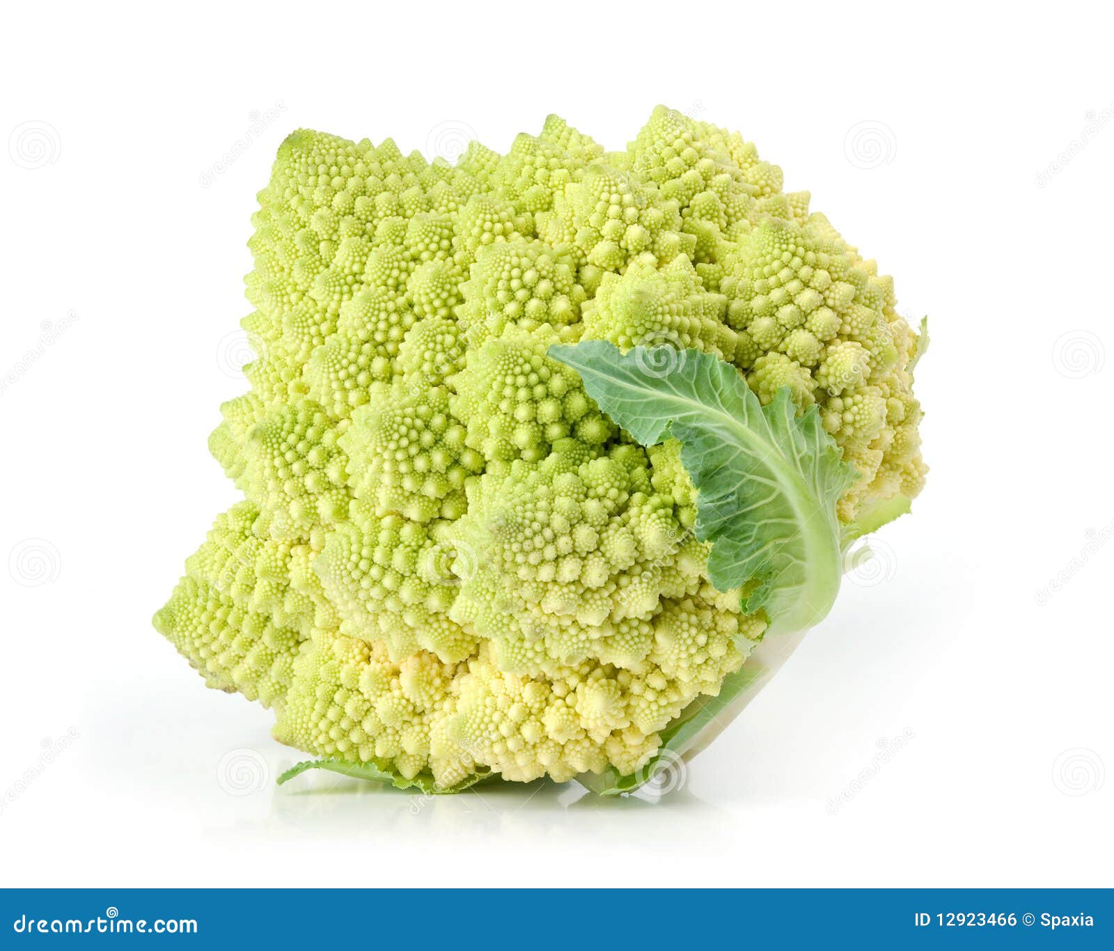 Romanesco cabbage stock photo. Image of isolated, crop - 12923466