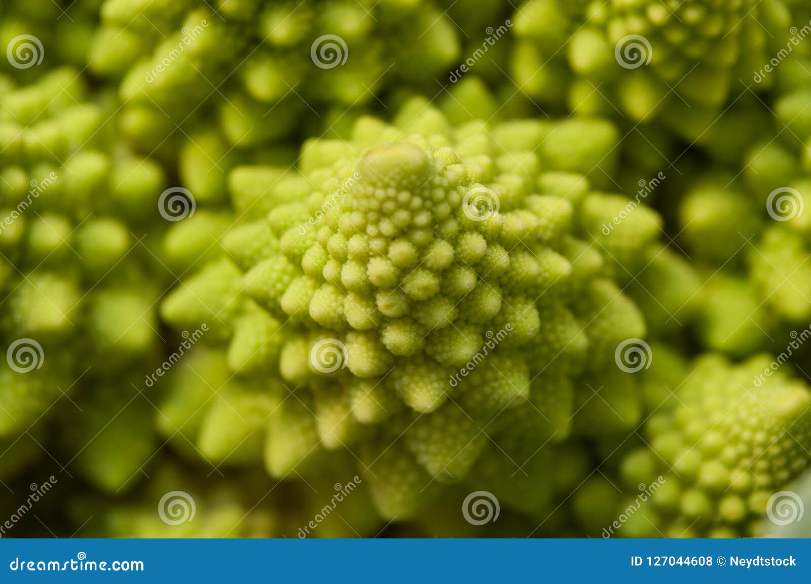 Romanesco Cauliflower Cabbage Texture Stock Photo - Image of cabbage ...