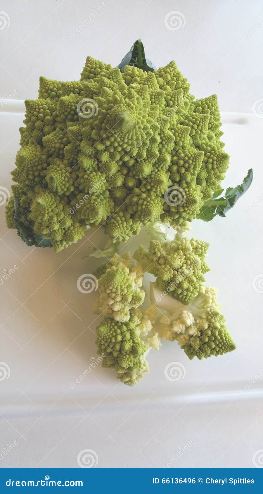 Romanesco cauliflower stock photo. Image of green, chopping - 66136496