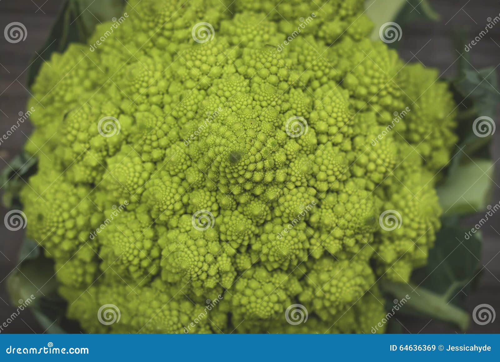 Romanesco Cauliflower with Logarithmic Spirals with Fibonacci Nu Stock ...