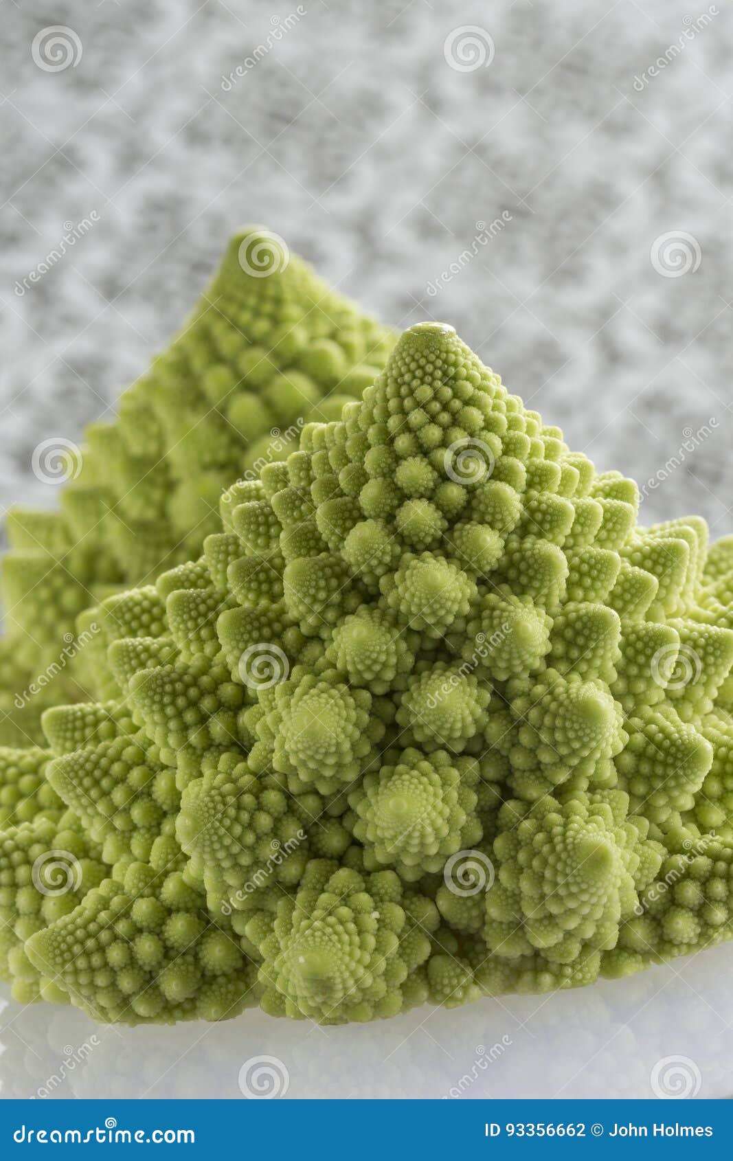 Romanesco Florets in a Logarithmic Spiral Stock Photo - Image of ...