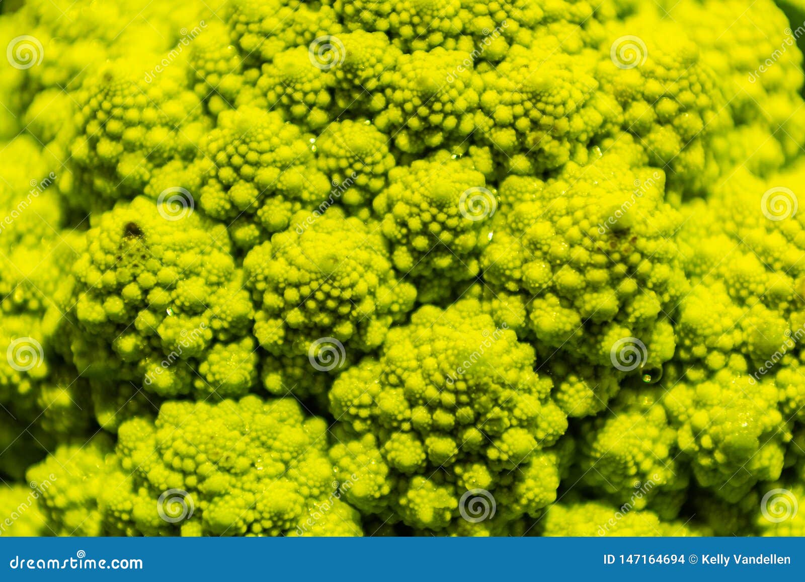 Fractle Patterns Stock Photos - Free & Royalty-Free Stock Photos from ...