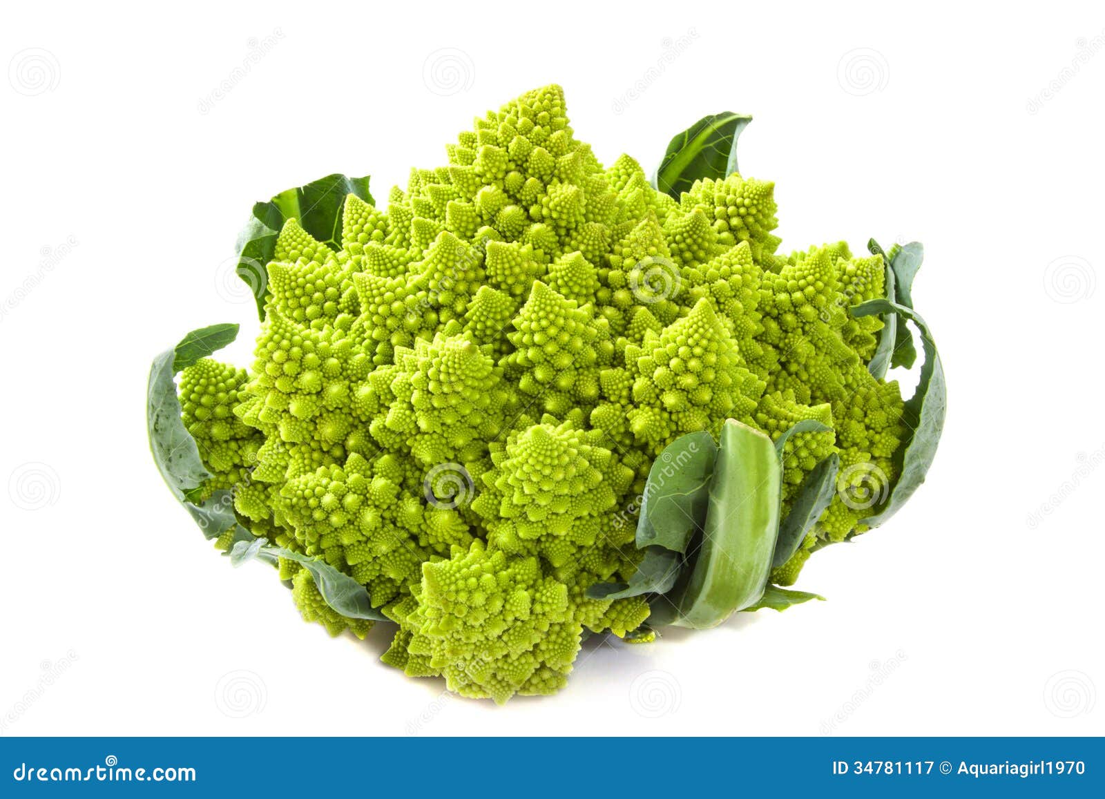Romanesco stock image. Image of brussels, closeup, plant - 34781117