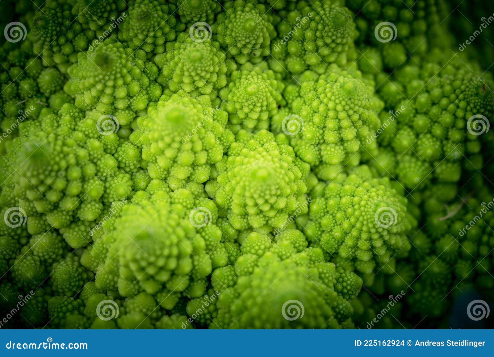 Romanesco Green Cauliflower Stock Photo - Image of fractal, broccoli ...