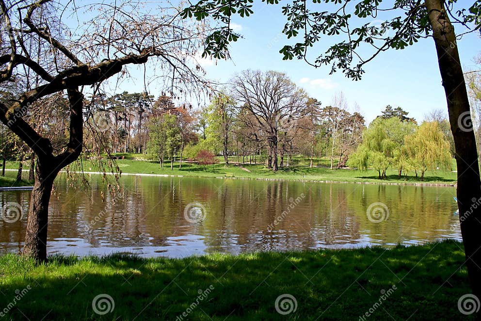 Romanescu park stock photo. Image of trees, craiova, romanescu - 14917828