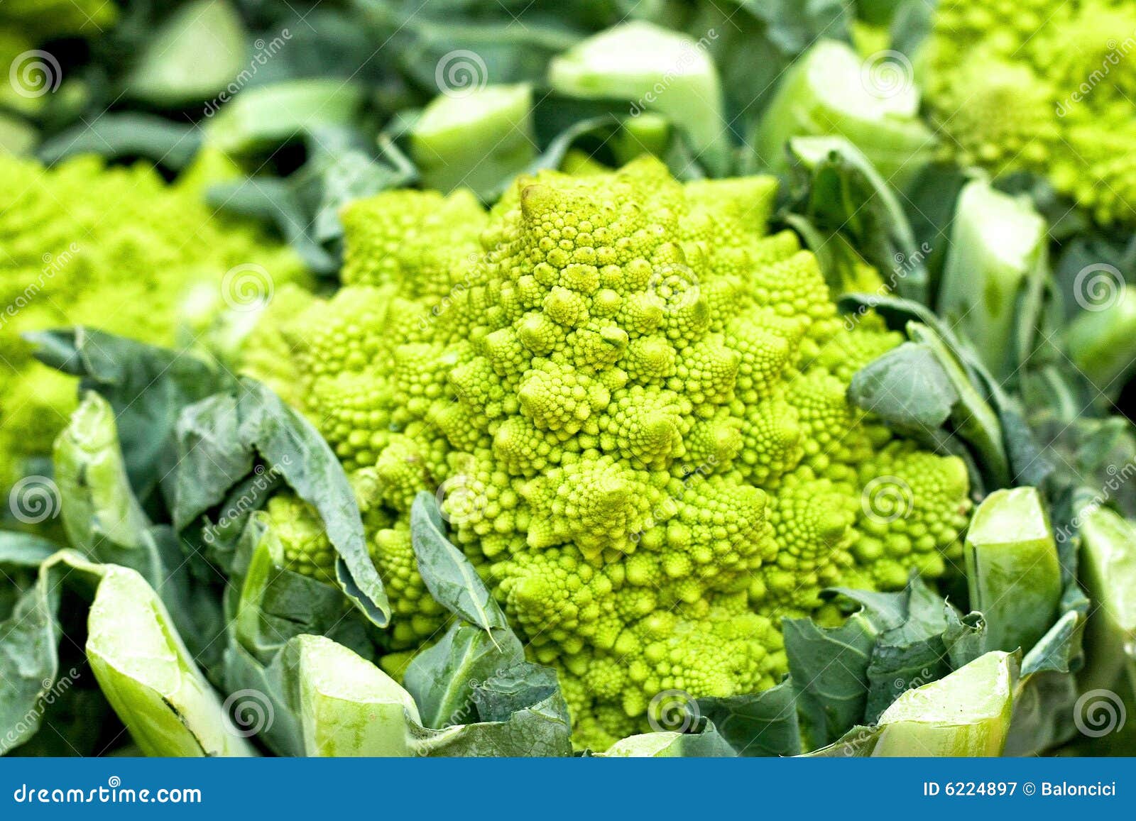 Romanesque stock image. Image of edible, nature, healthy - 6224897